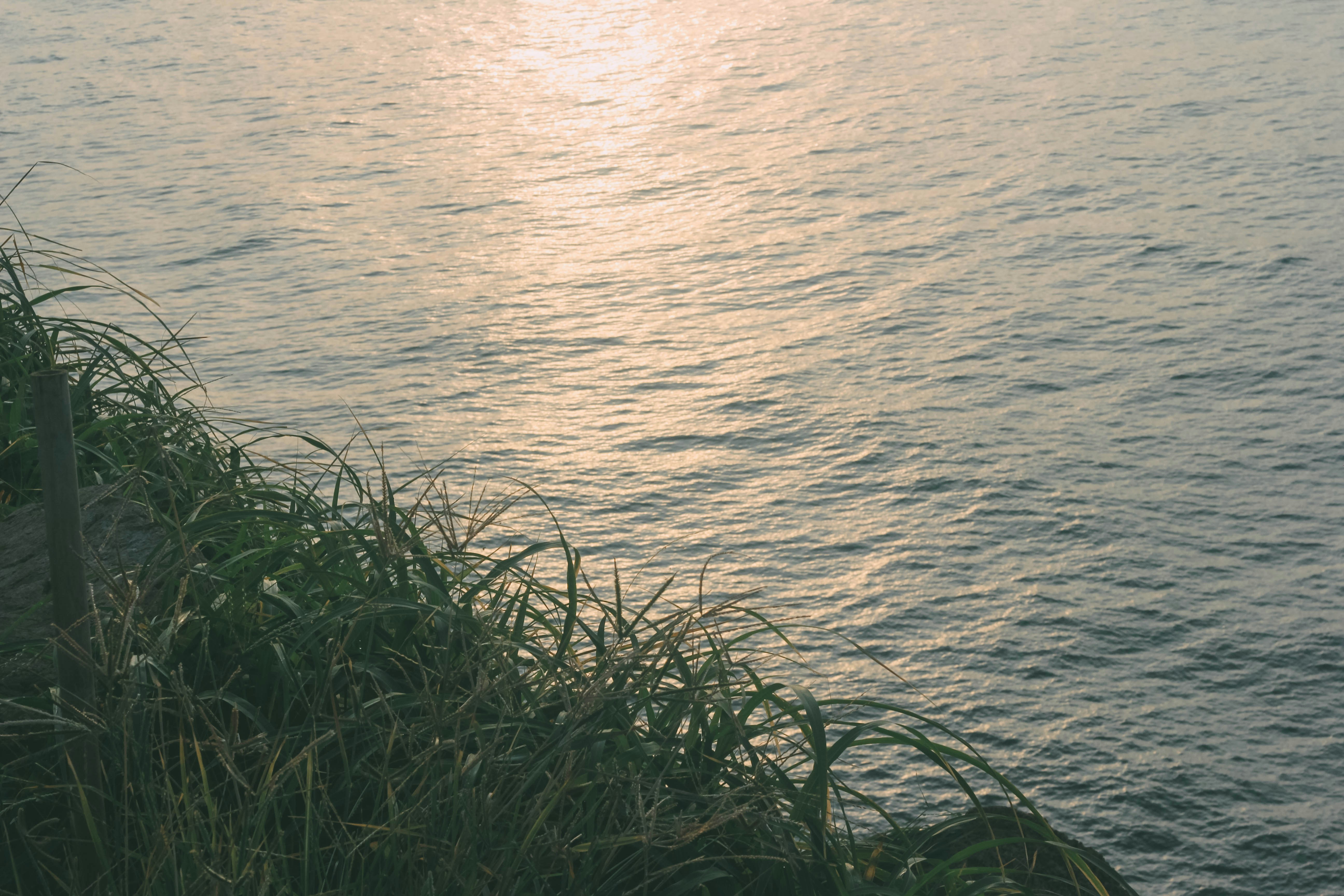 Sunlit Ripple: Evening Light over Quiet Shore