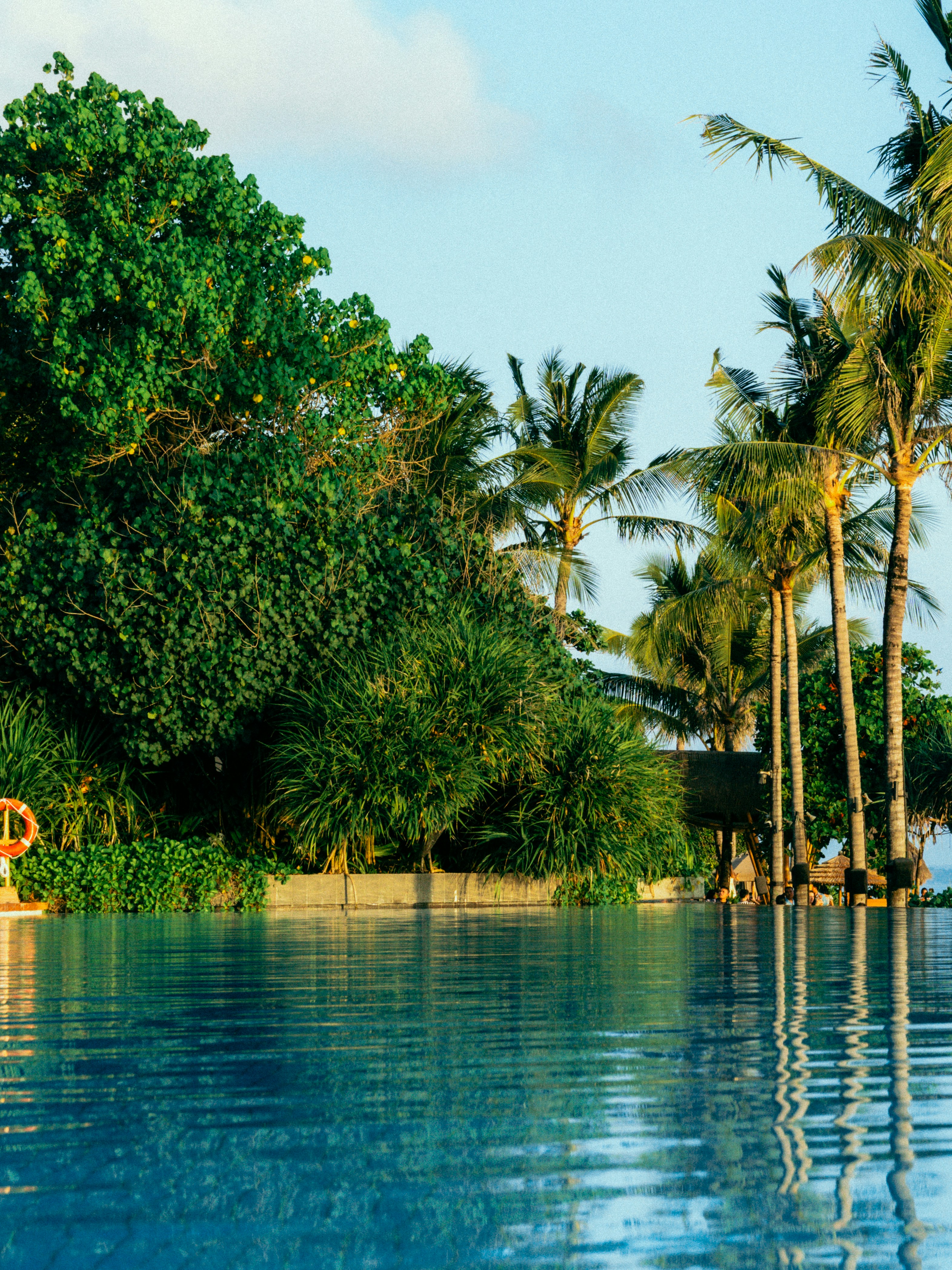 Palm-lined pool at tropical dusk with calm reflections