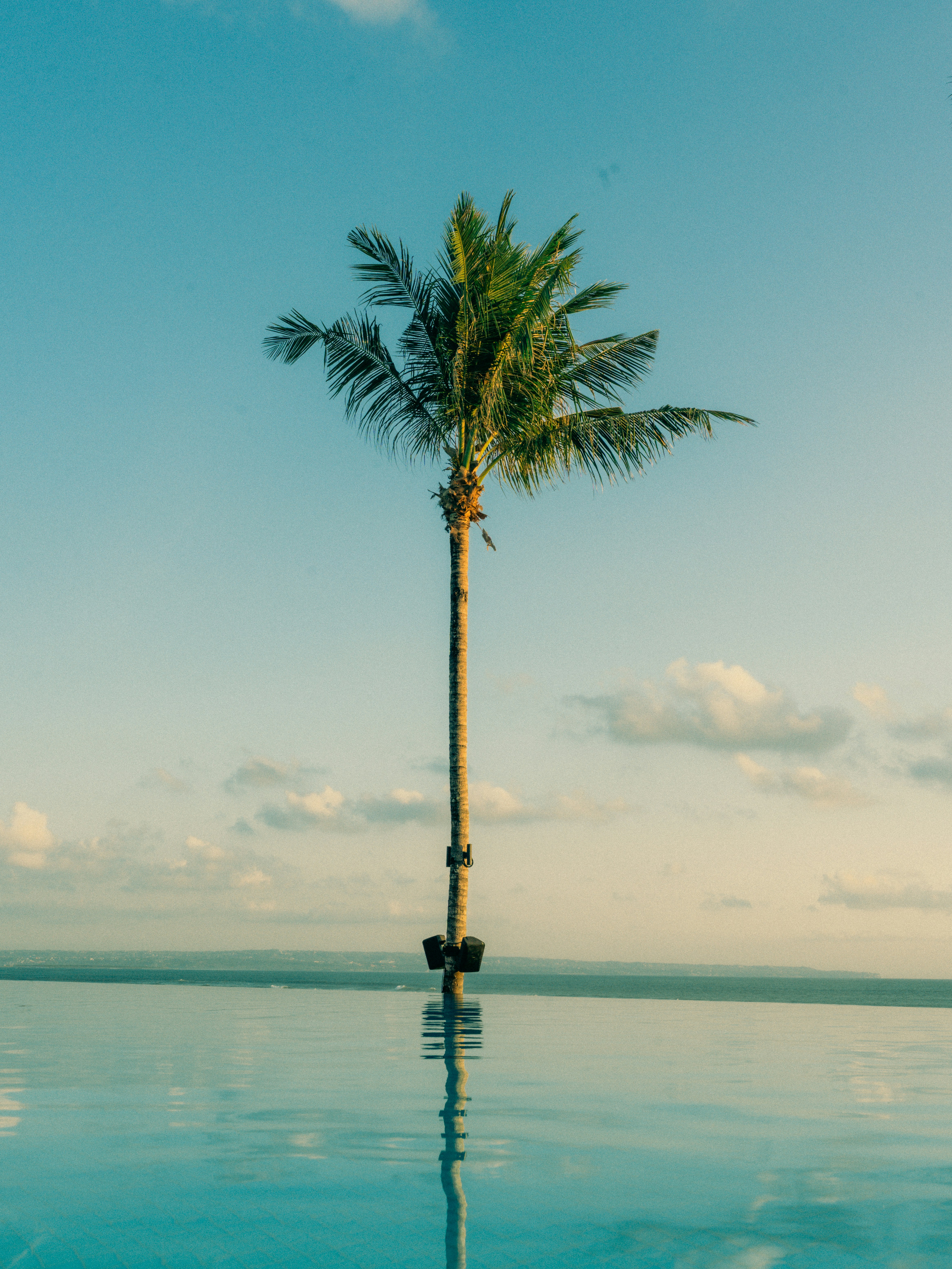 Solitary Palm Crowned by Sky Over Tranquil Reef