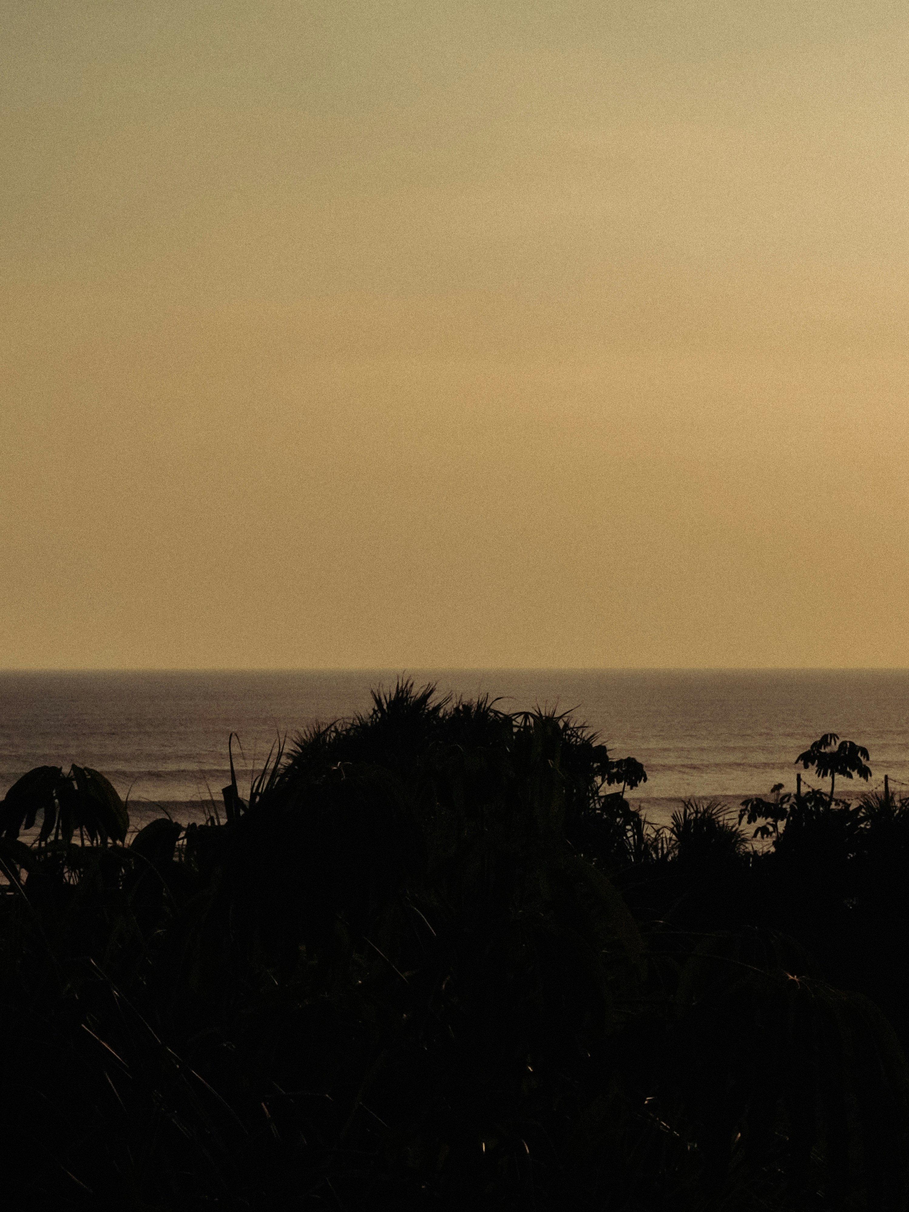 Twilight Over Coastal Hedges