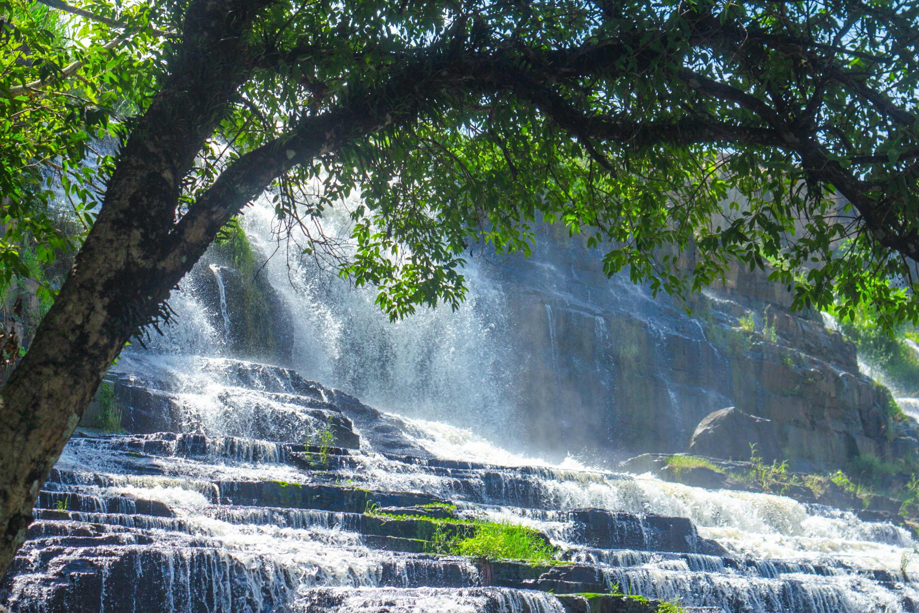 Whispering cascade under a shaded canopy