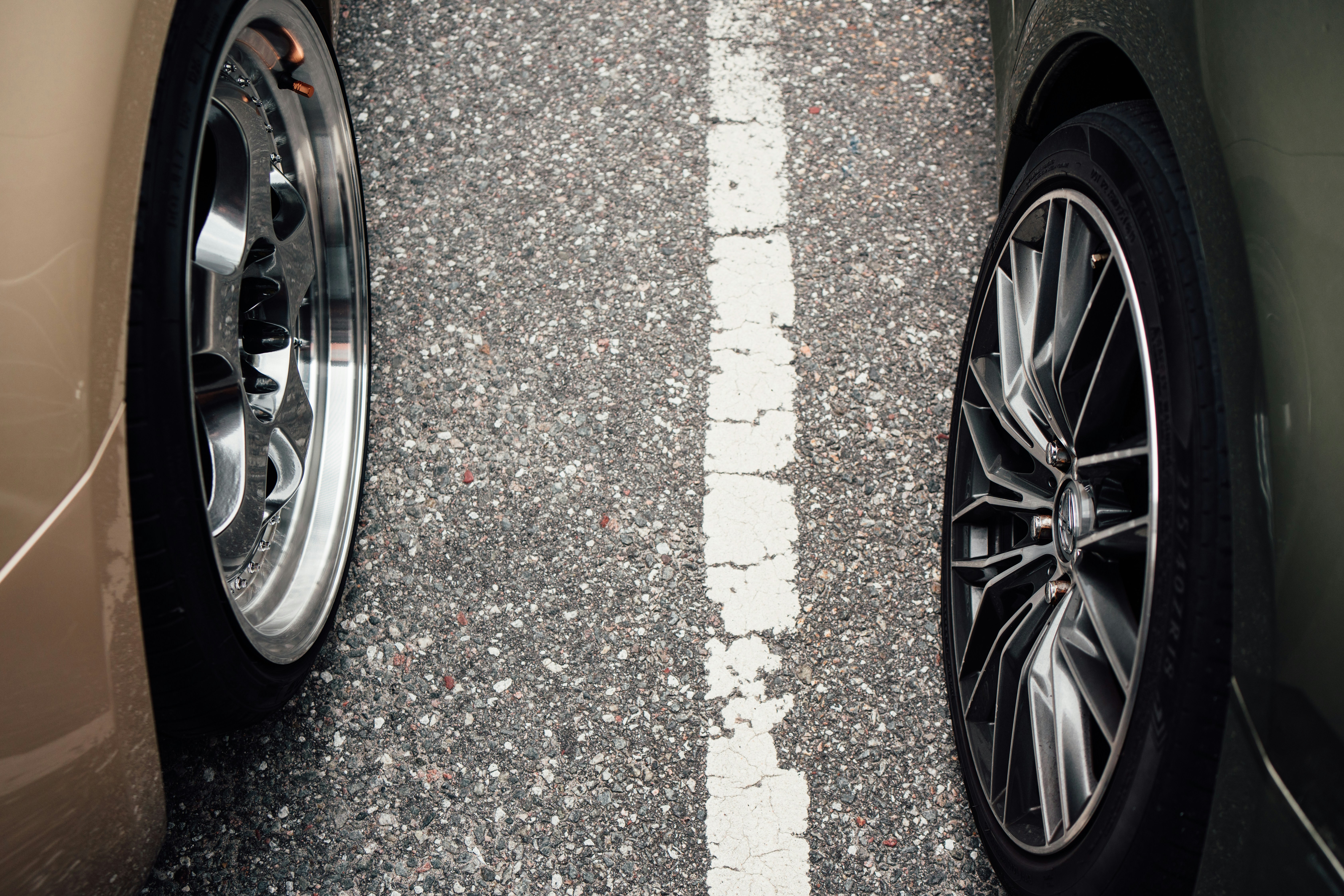 Between Wheels: A Quiet Standoff in the Parking Lane