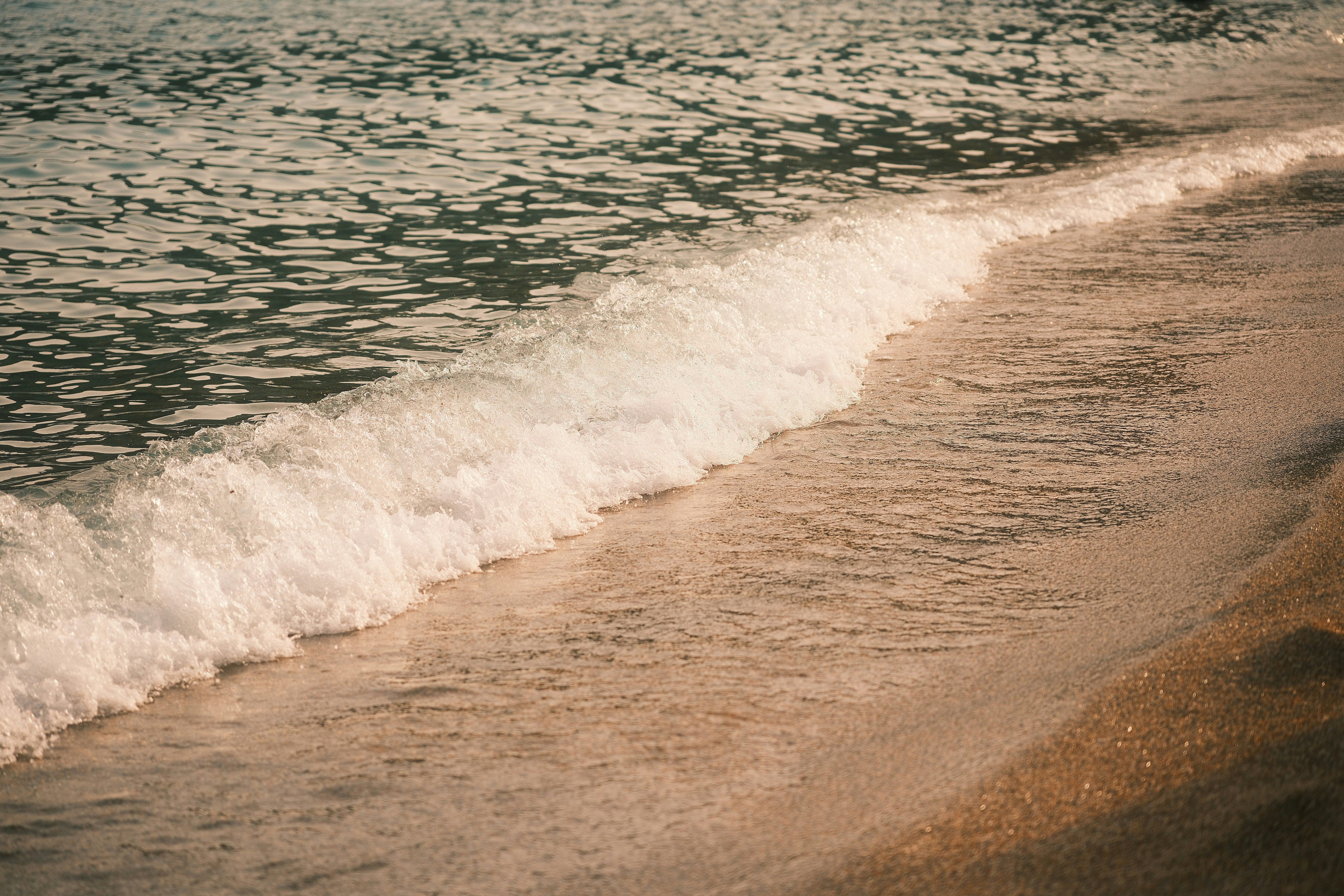 Foamy Edge: A Quiet Shore Bathed in Golden Light