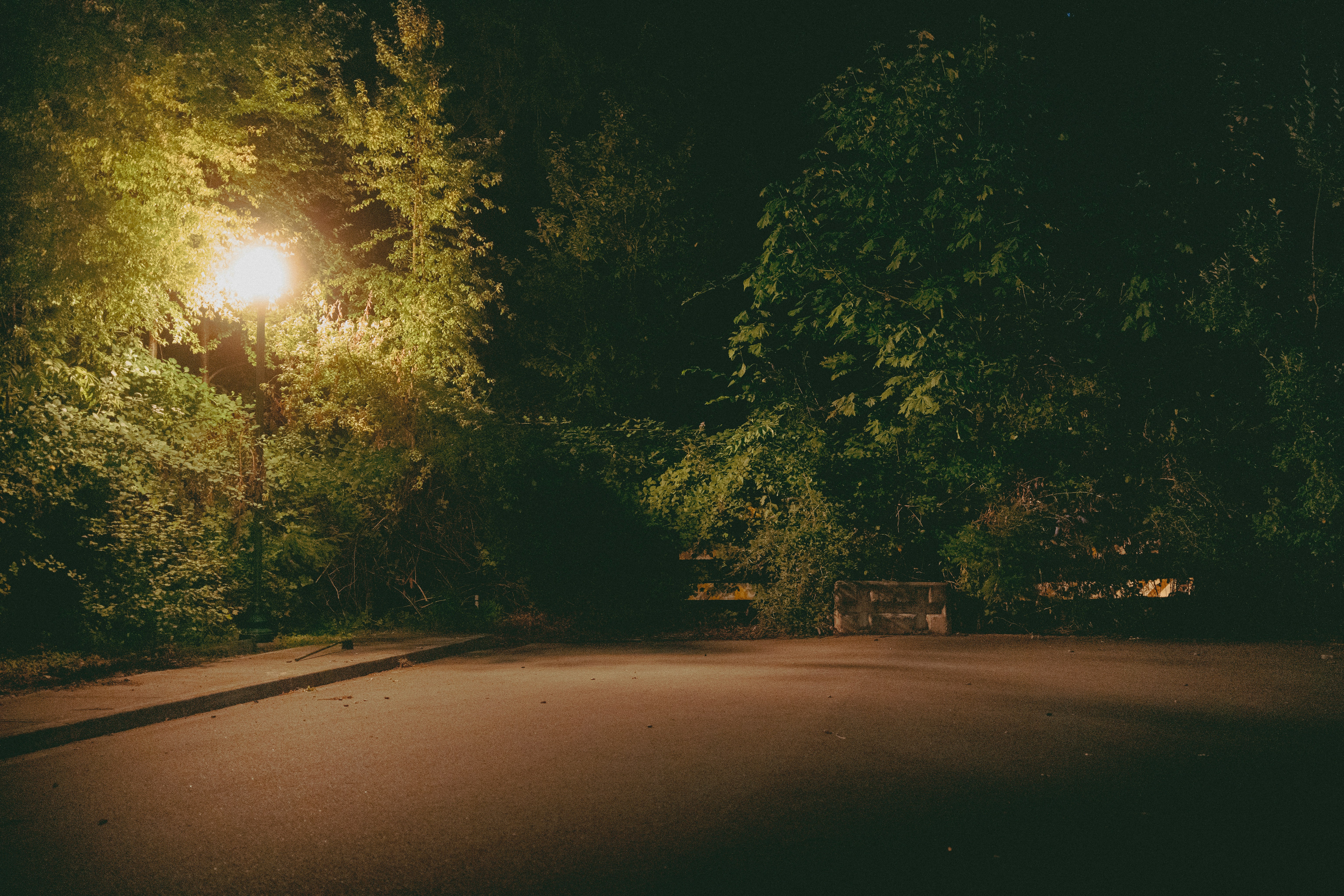 A calm night scene of a dimly lit park road framed by trees, with a warm streetlamp casting a soft glow on the pavement.