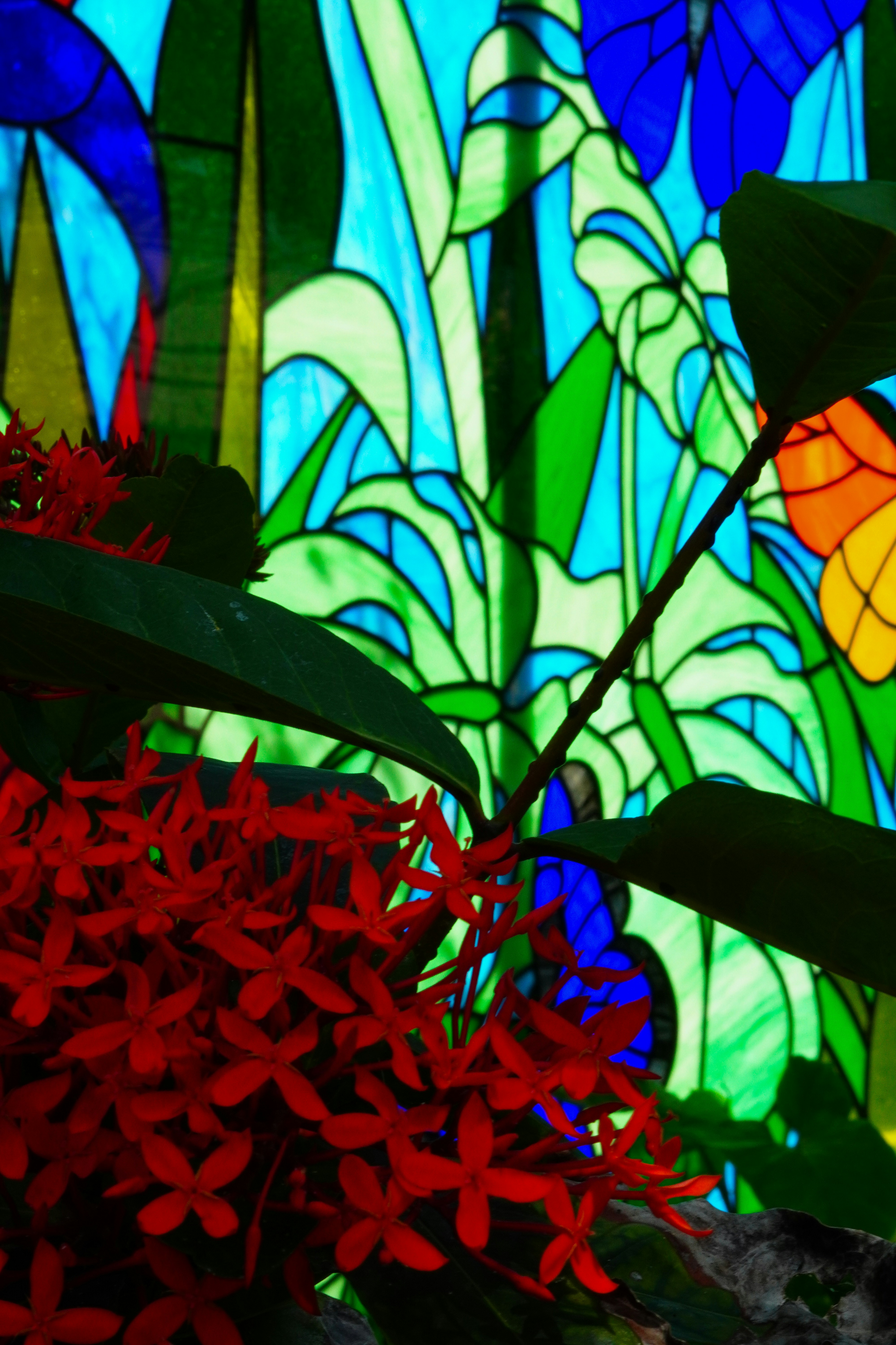 Crimson Cluster Against a Glass Mosaic Bloom