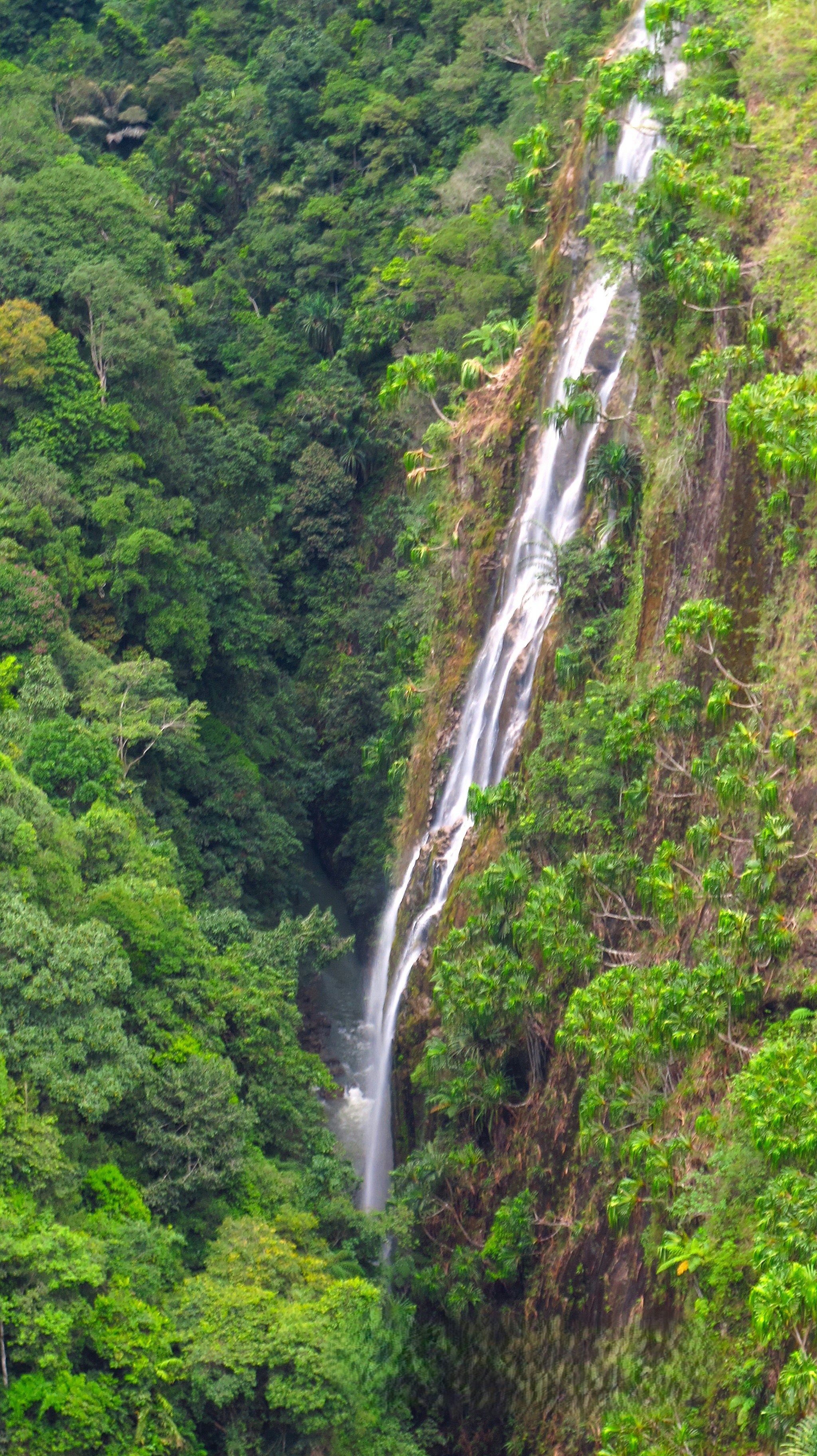 A slender waterfall threads down a mossy cliff framed by dense tropical jungle; the scene emphasizes vertical rhythm and lush greenery with a graceful water flow.