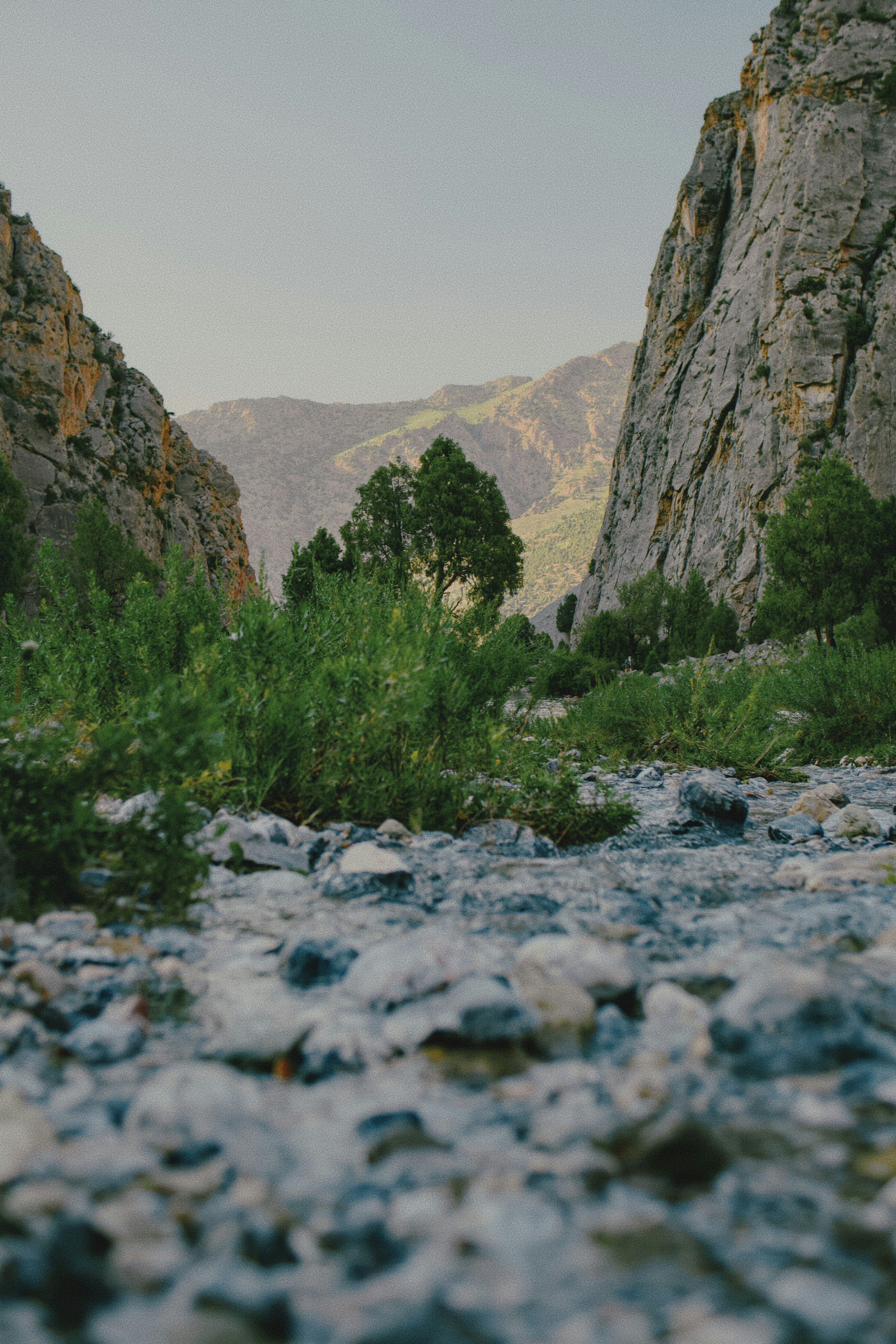 Between the Stones: A Quiet River Run Through Canyon Walls