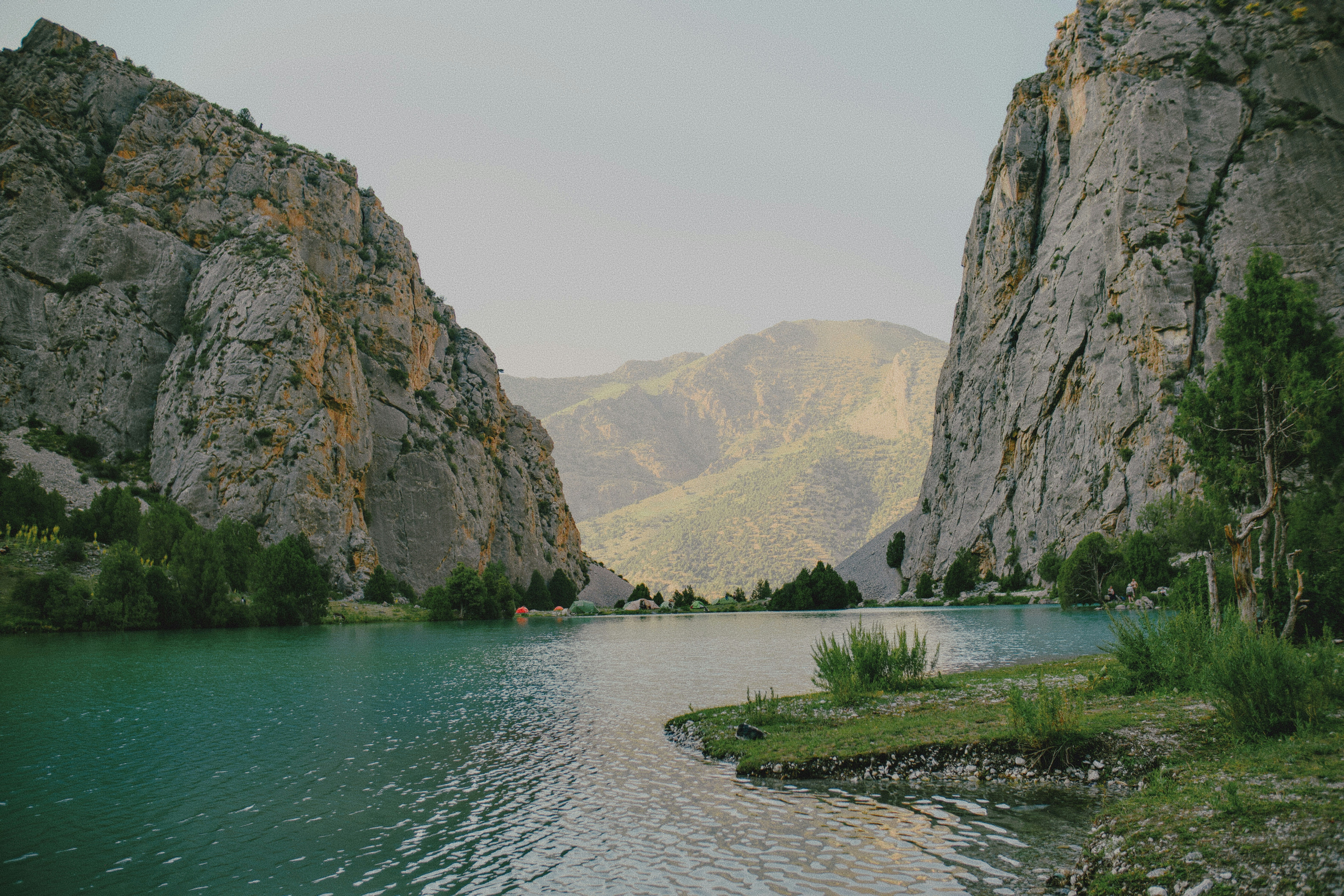 Verdant Channel Between Canyon Walls