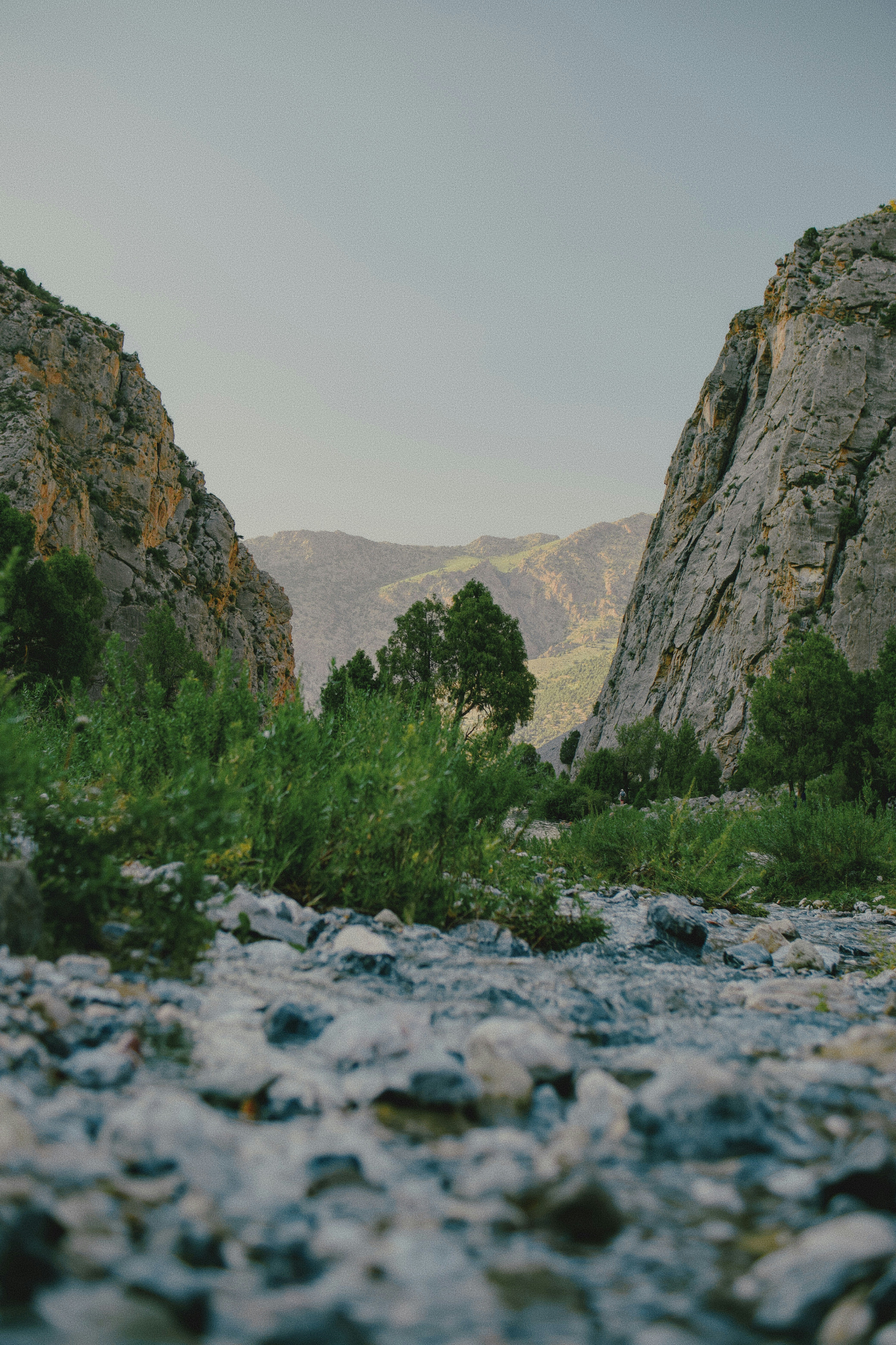 Riverbed Echo Between Cliffs: Green Valley Under a Clear Sky