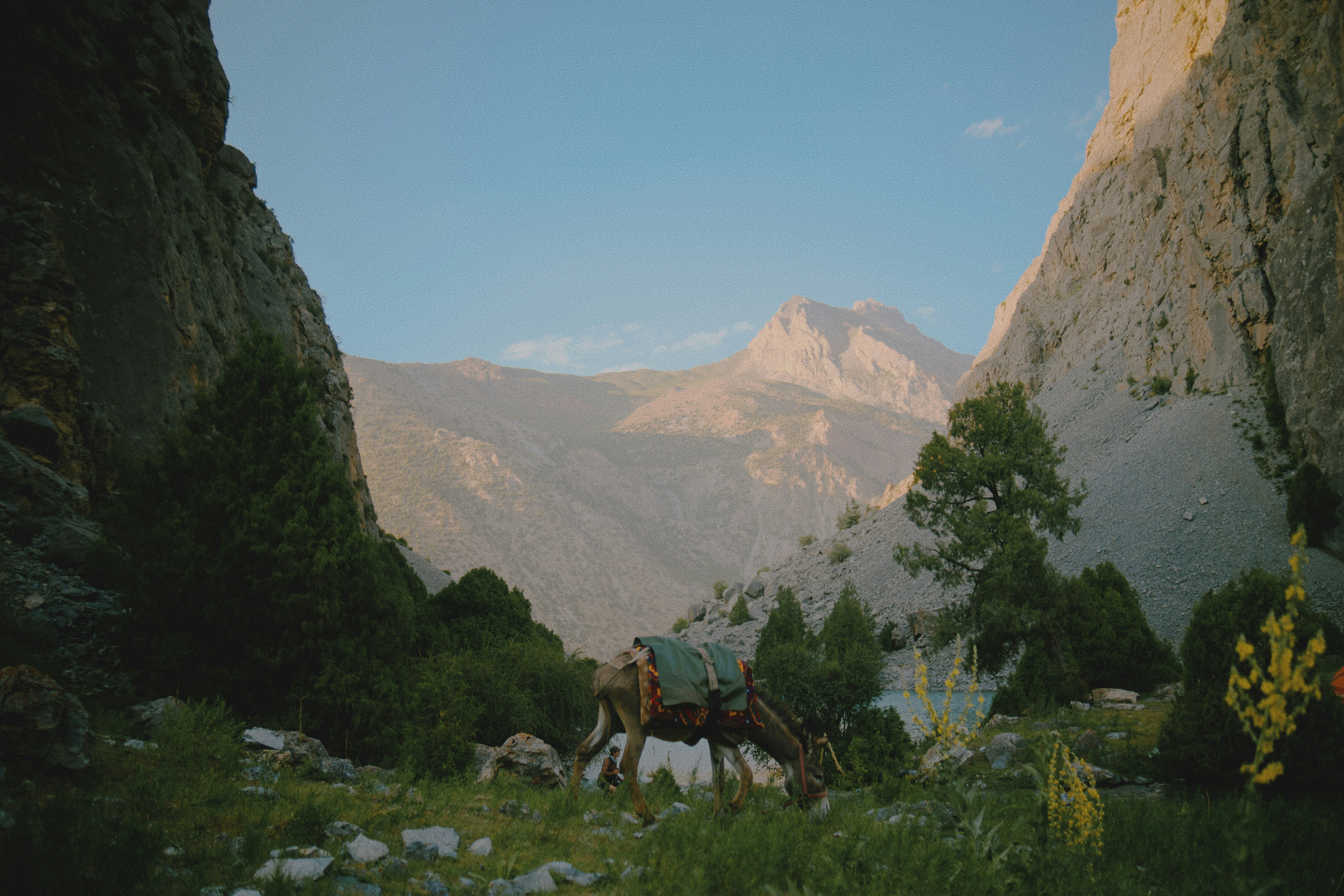 Herder and Mule in a Mountain Pass