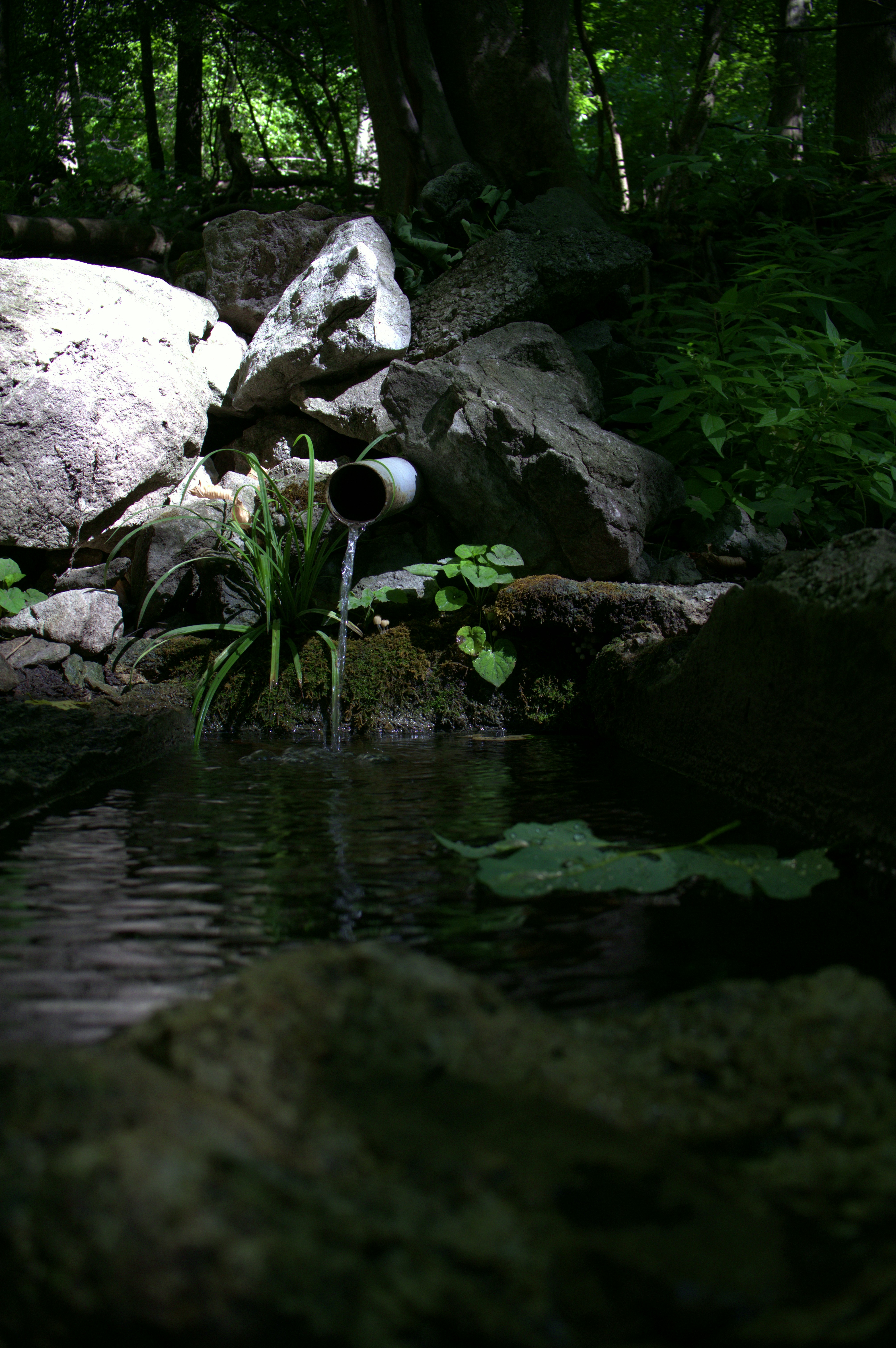 Pipe and Quiet Creek: A Hidden Water Channel Winding Through Stones
