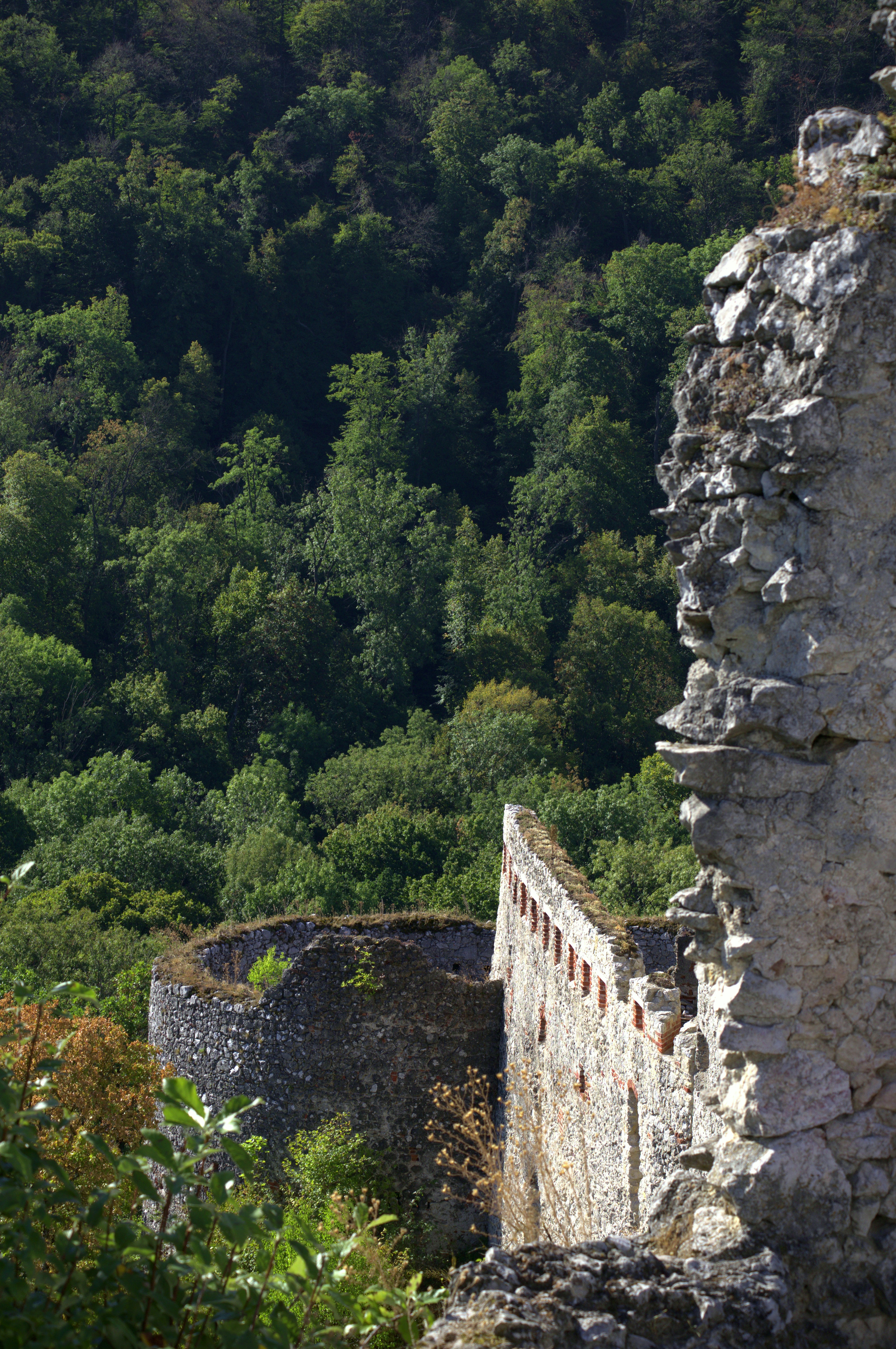 Ancient stone ruins perched beside a forested cliff, with rugged masonry and sunlit greenery filling the scene.