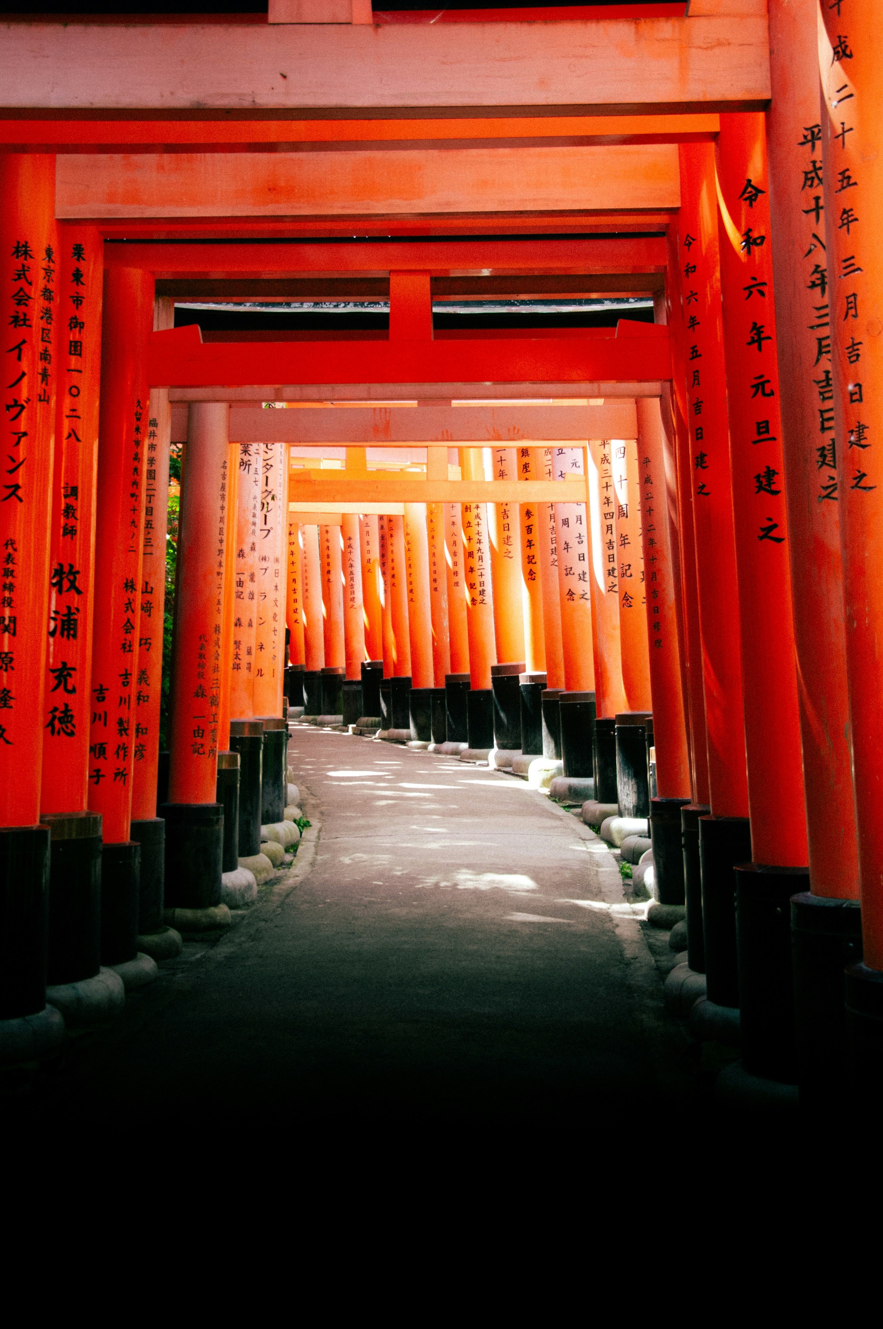Torii Path: A Corridor of Fire and Shadow