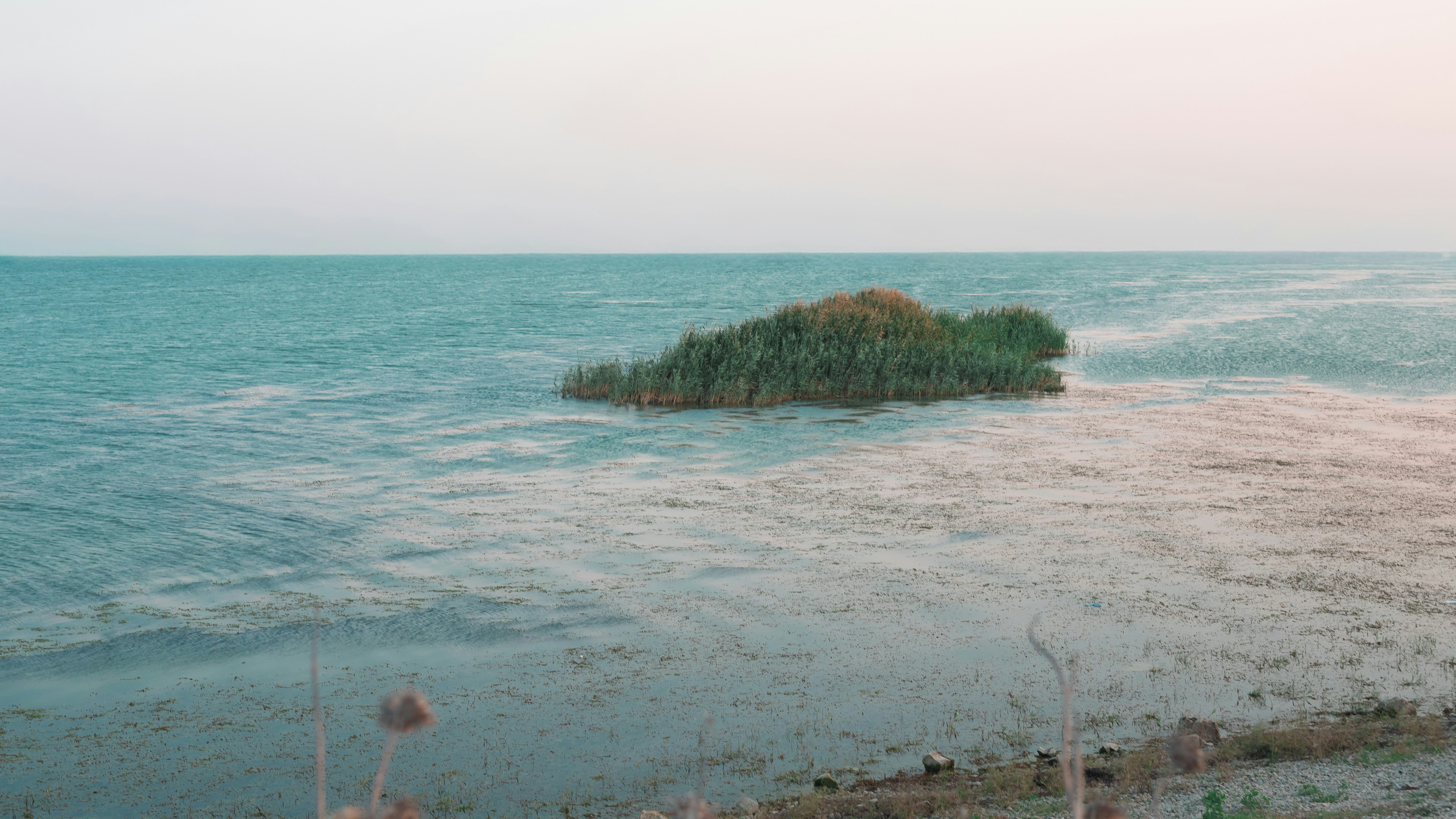 Isolated Island in a Calm Tidal Sea