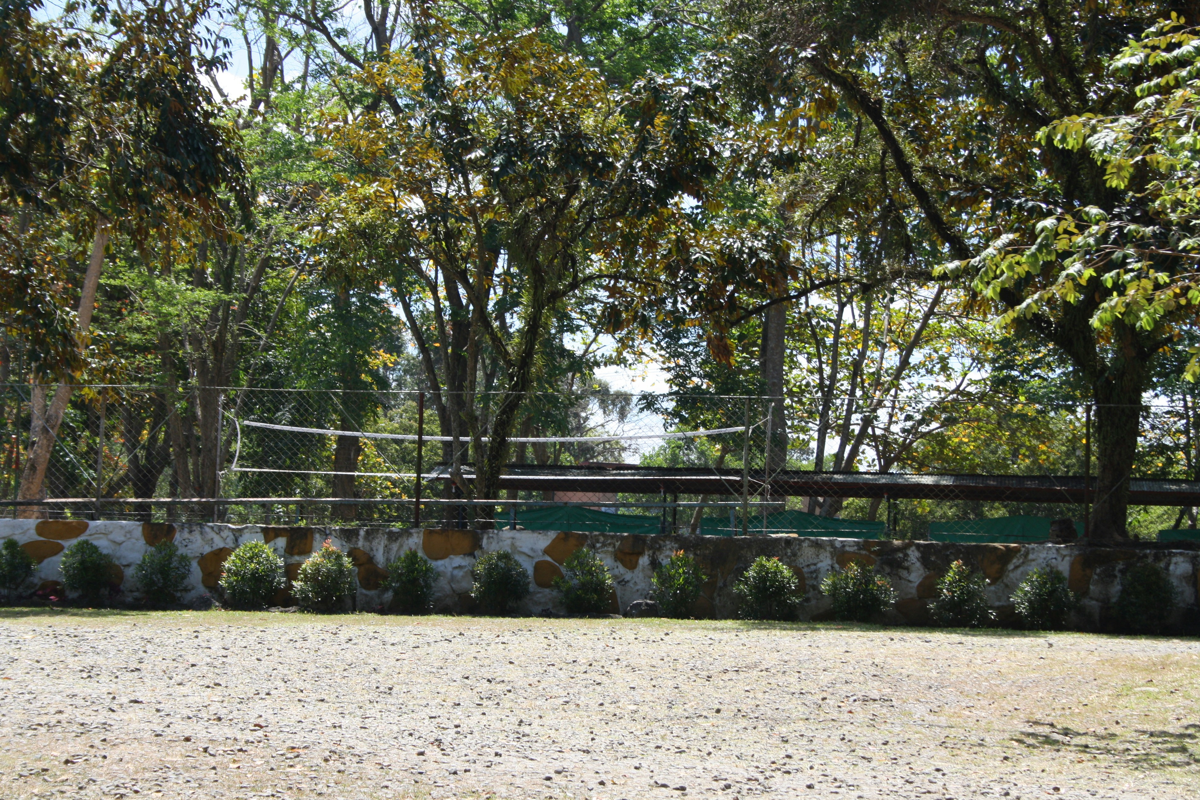 Quiet Park Court: Sunlit Nets and Shadowed Trees