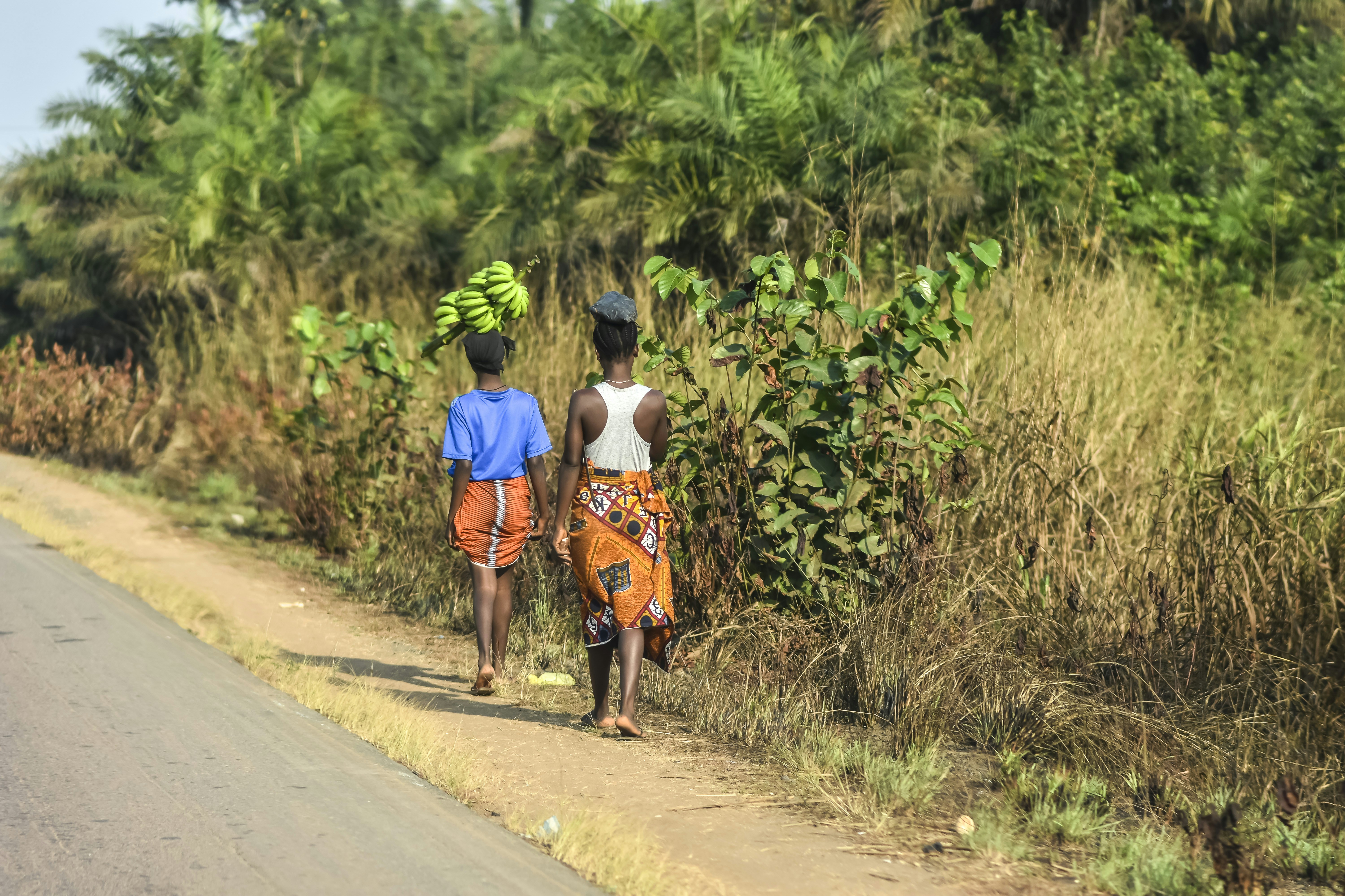 Two Travelers on a Dusty Path Amid Wild Grass