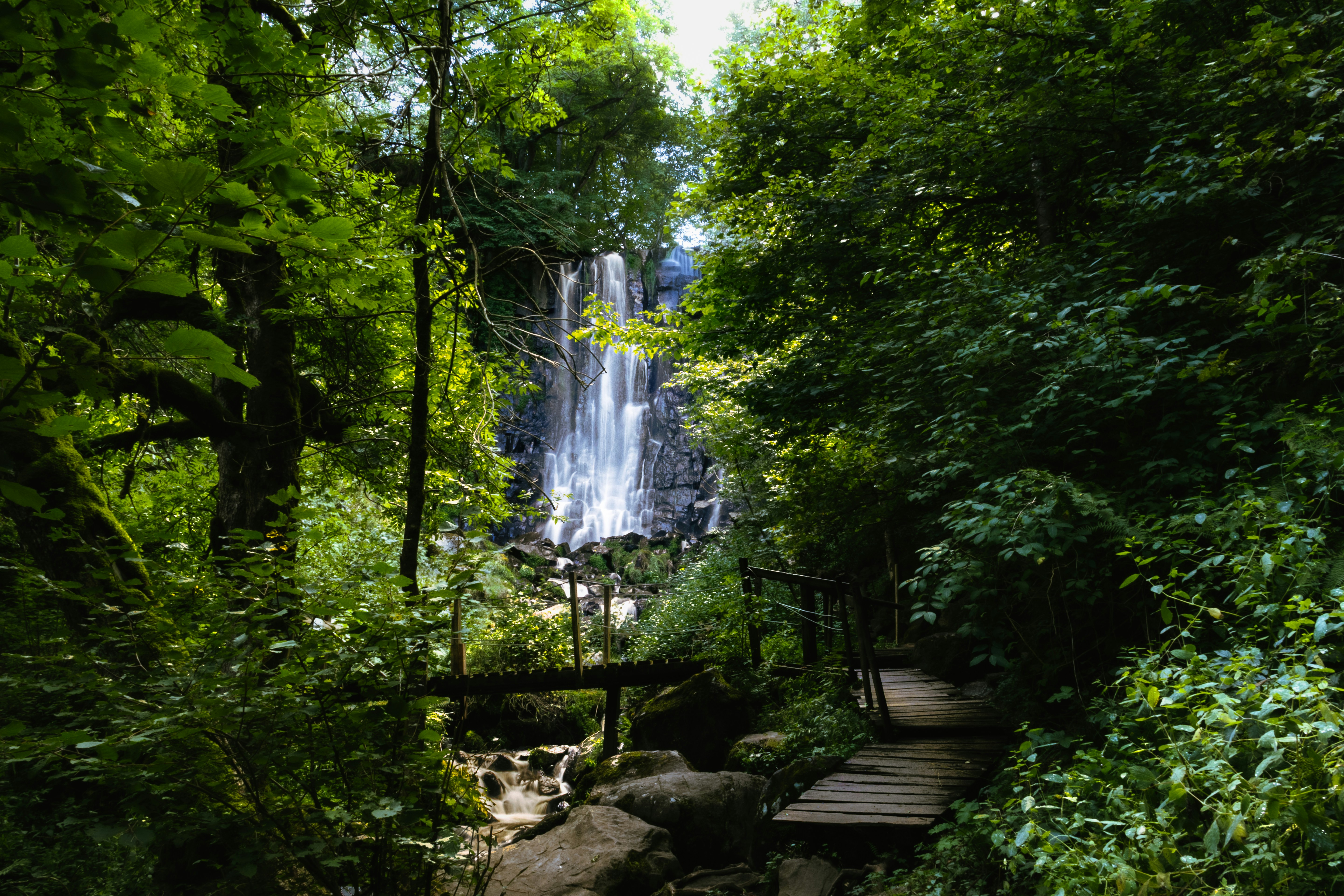 Forest Path to a Velvet Cascade
