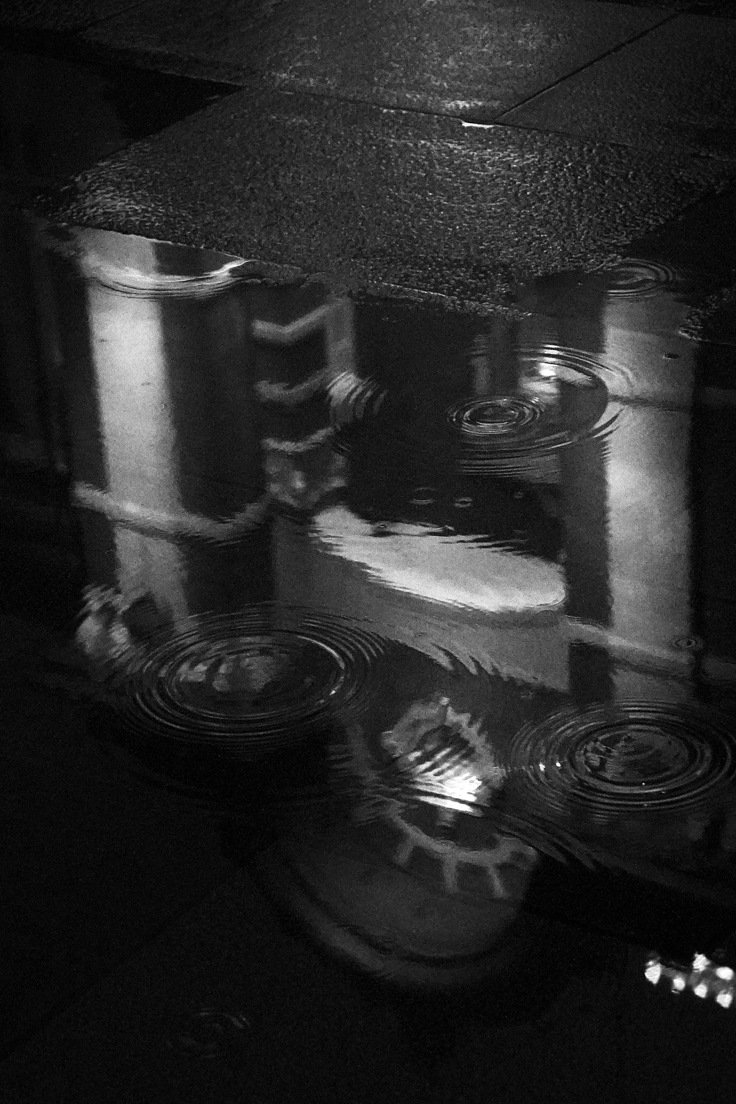 Reflections in Rain: A Quiet Urban Night in Black and White