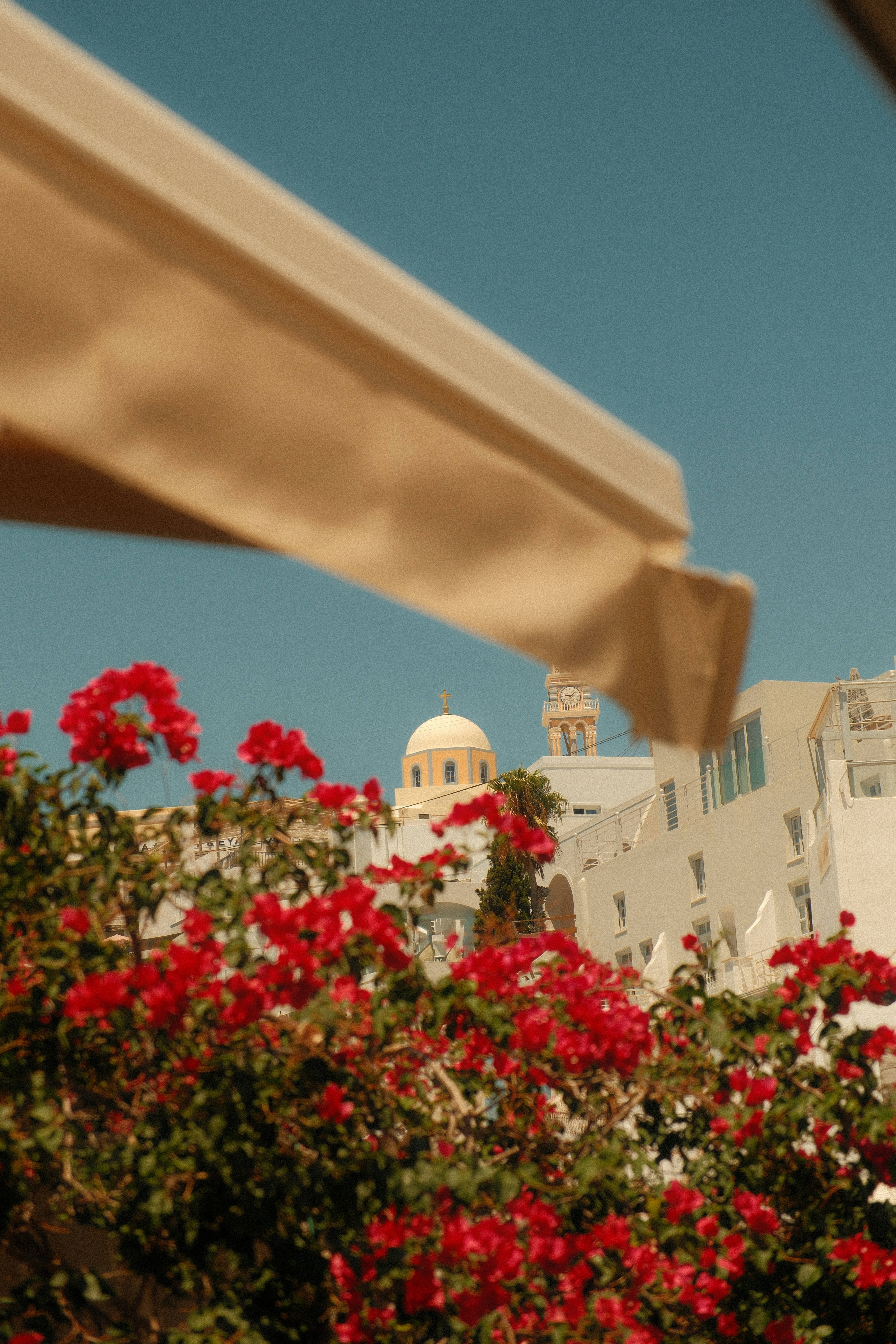 Bushes in Bloom Under a Cream Canopy with a Mediterranean Town Backdrop
