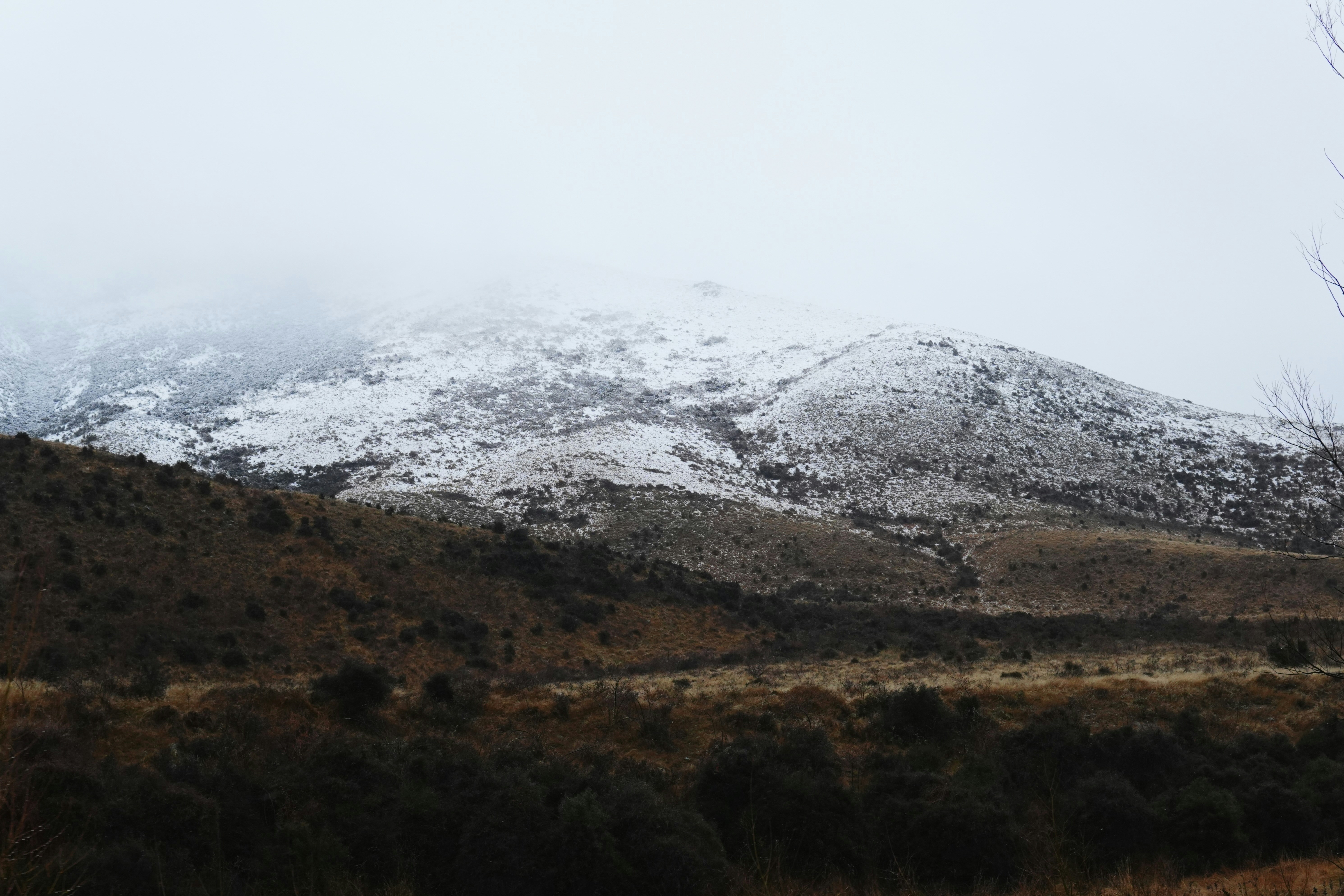 Snow-dusted hillside under a muted winter sky