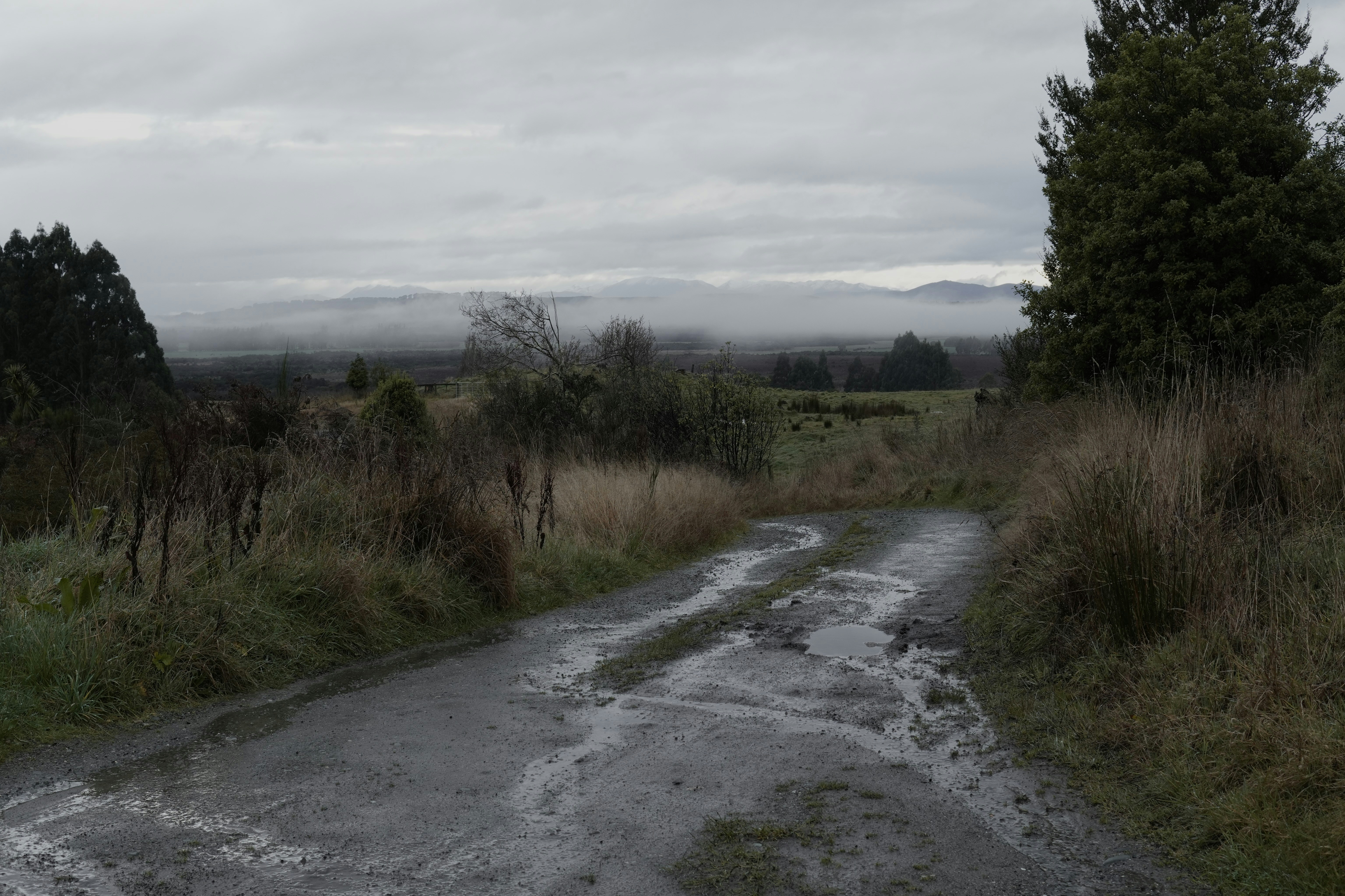 Rugged rural lane dissolving into mist