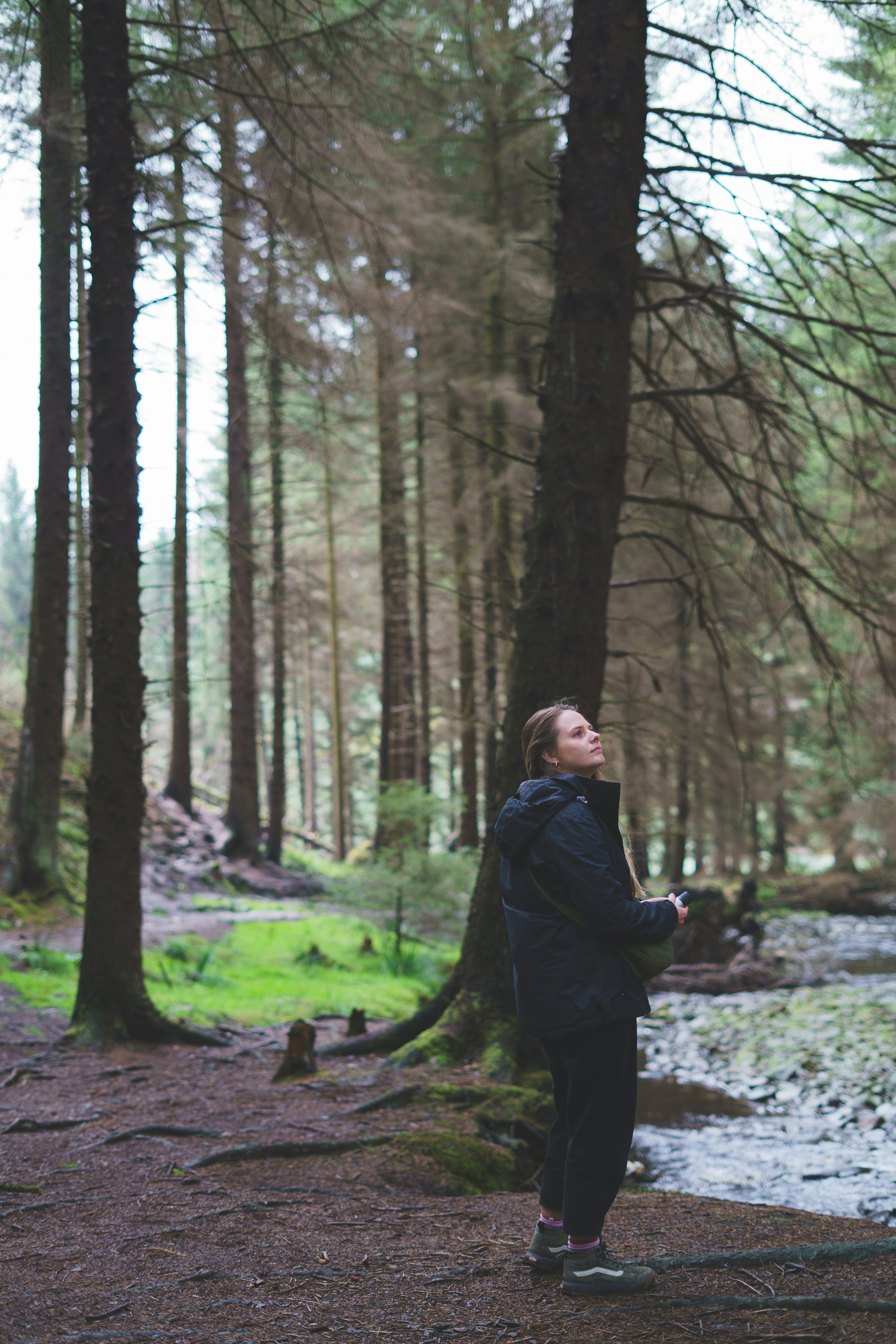 Portrait in the Mossy Pines: A Quiet Forest Moment