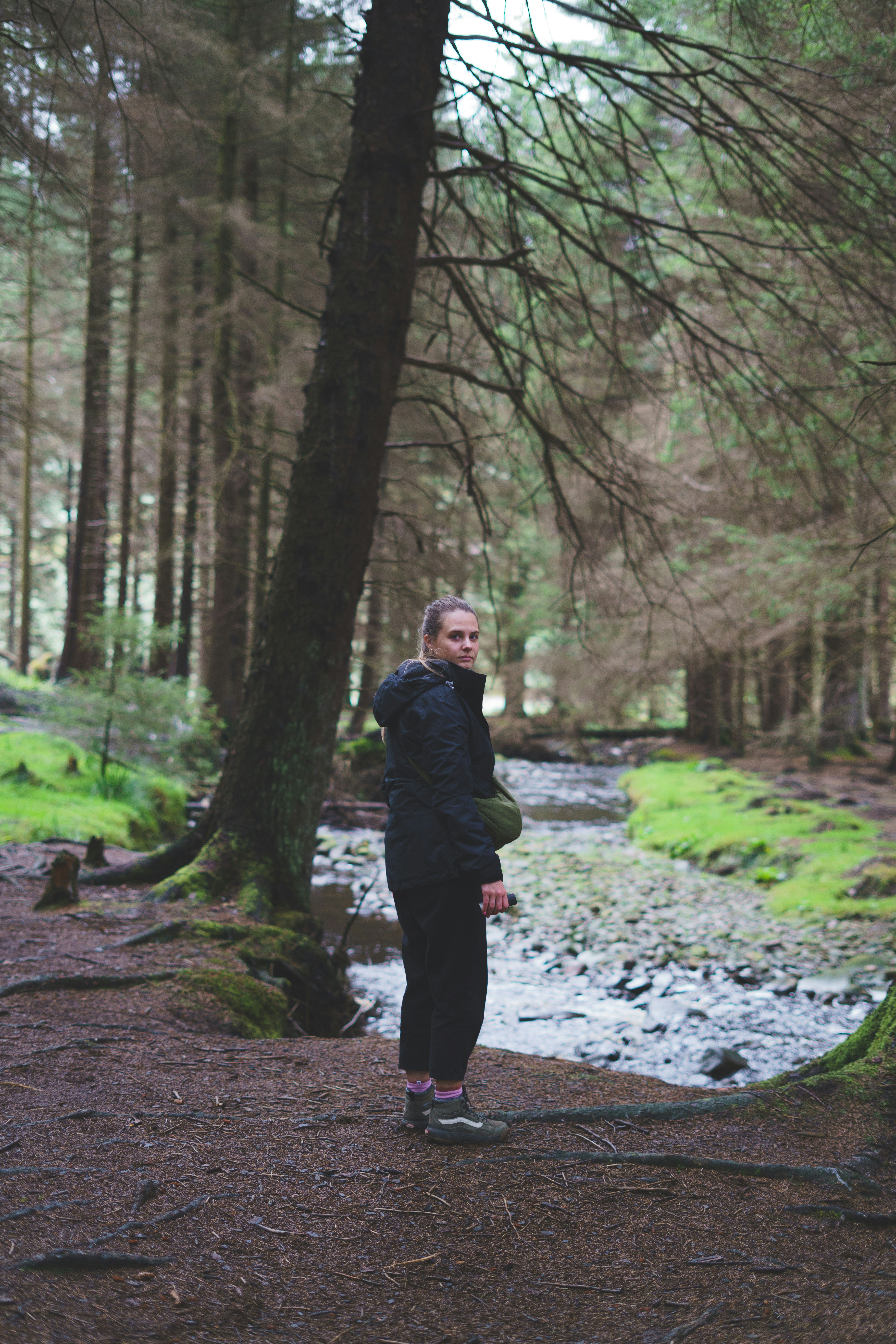 Trailbound Quiet: A lone hiker in a misty forest by a mossy stream
