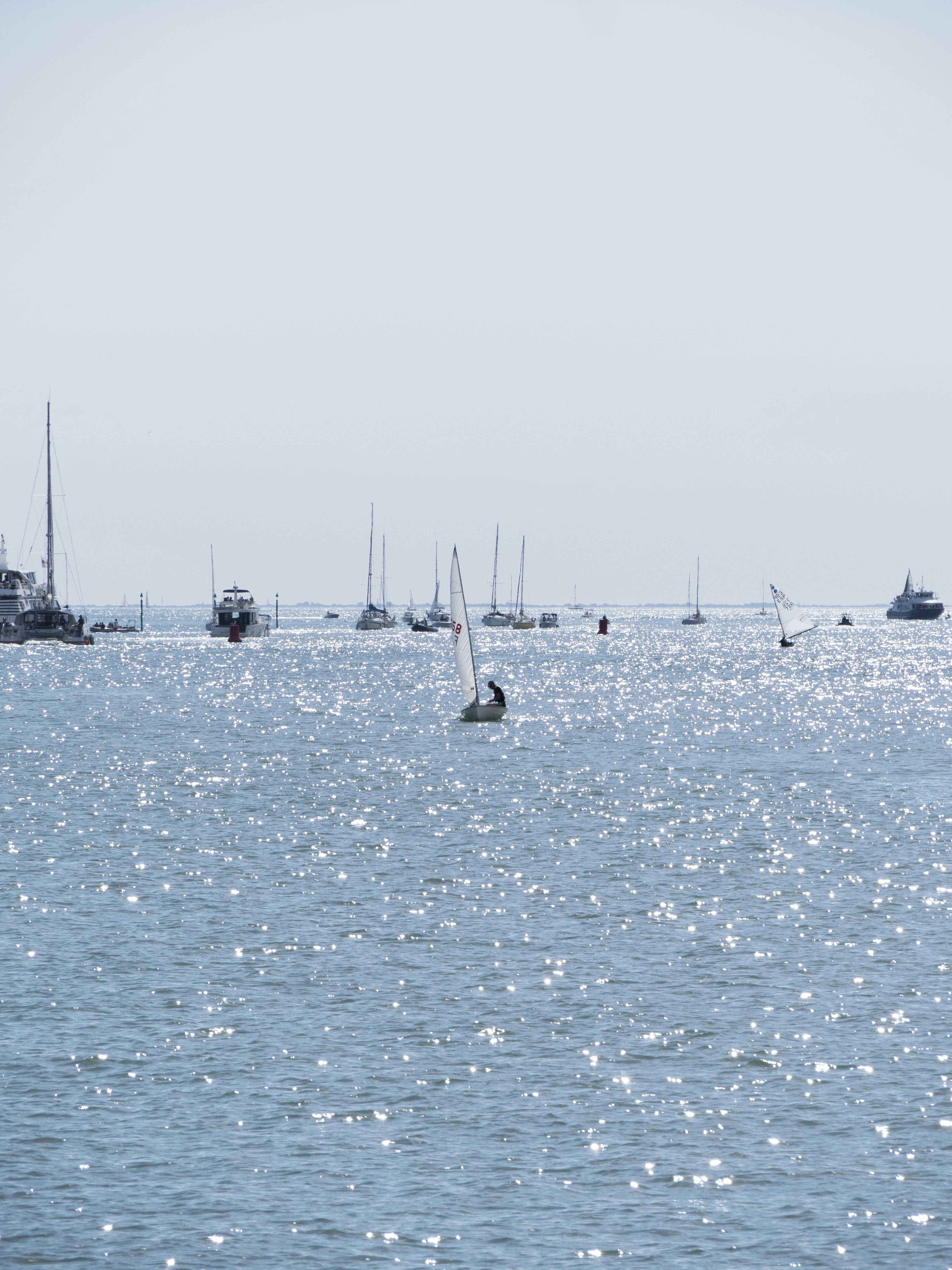 Glittering Sea: A Fleet of Silent Sails at Dusk