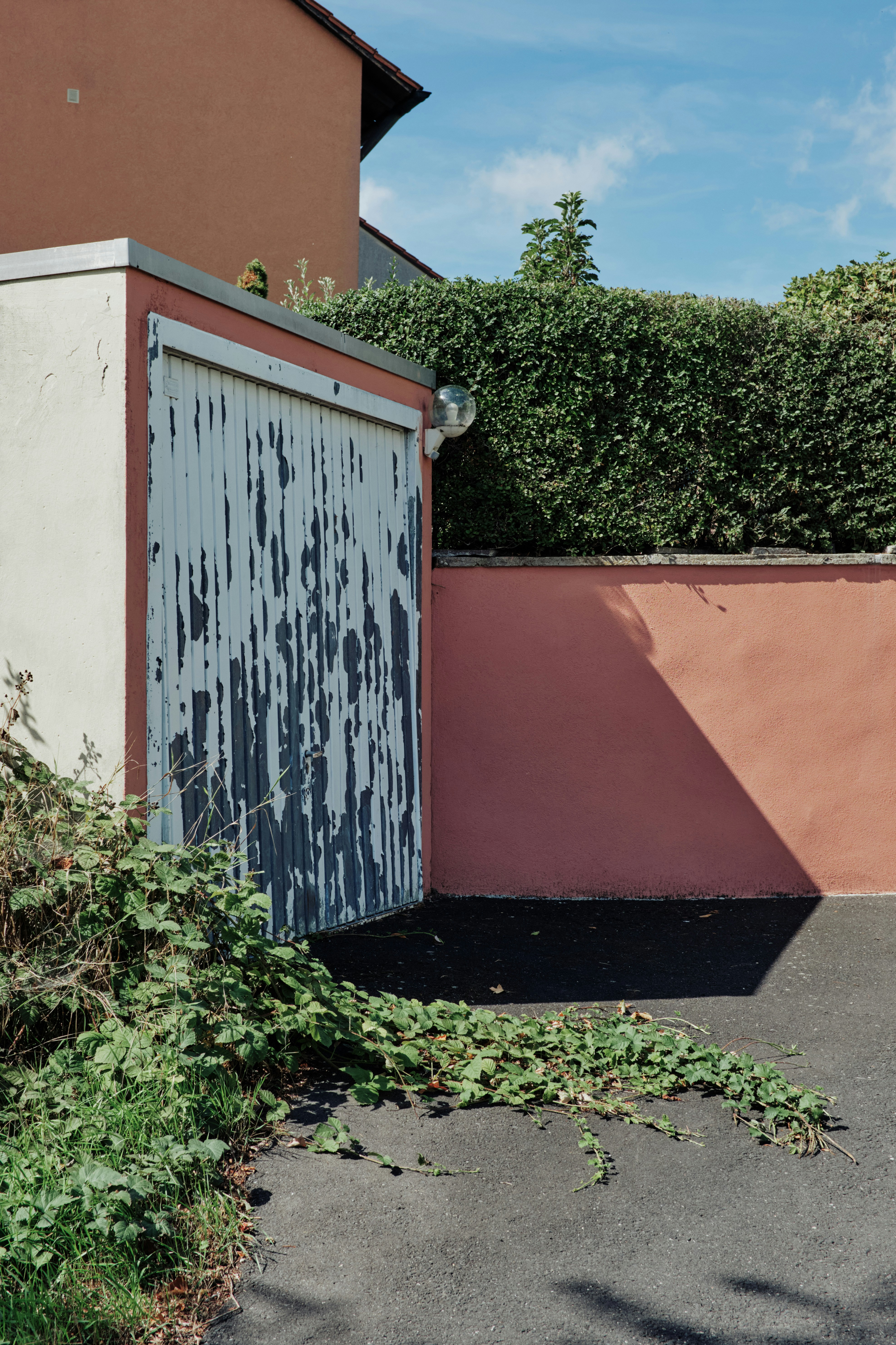 Sunlit Garage Gate and Overgrown Path in Quiet Courtyard