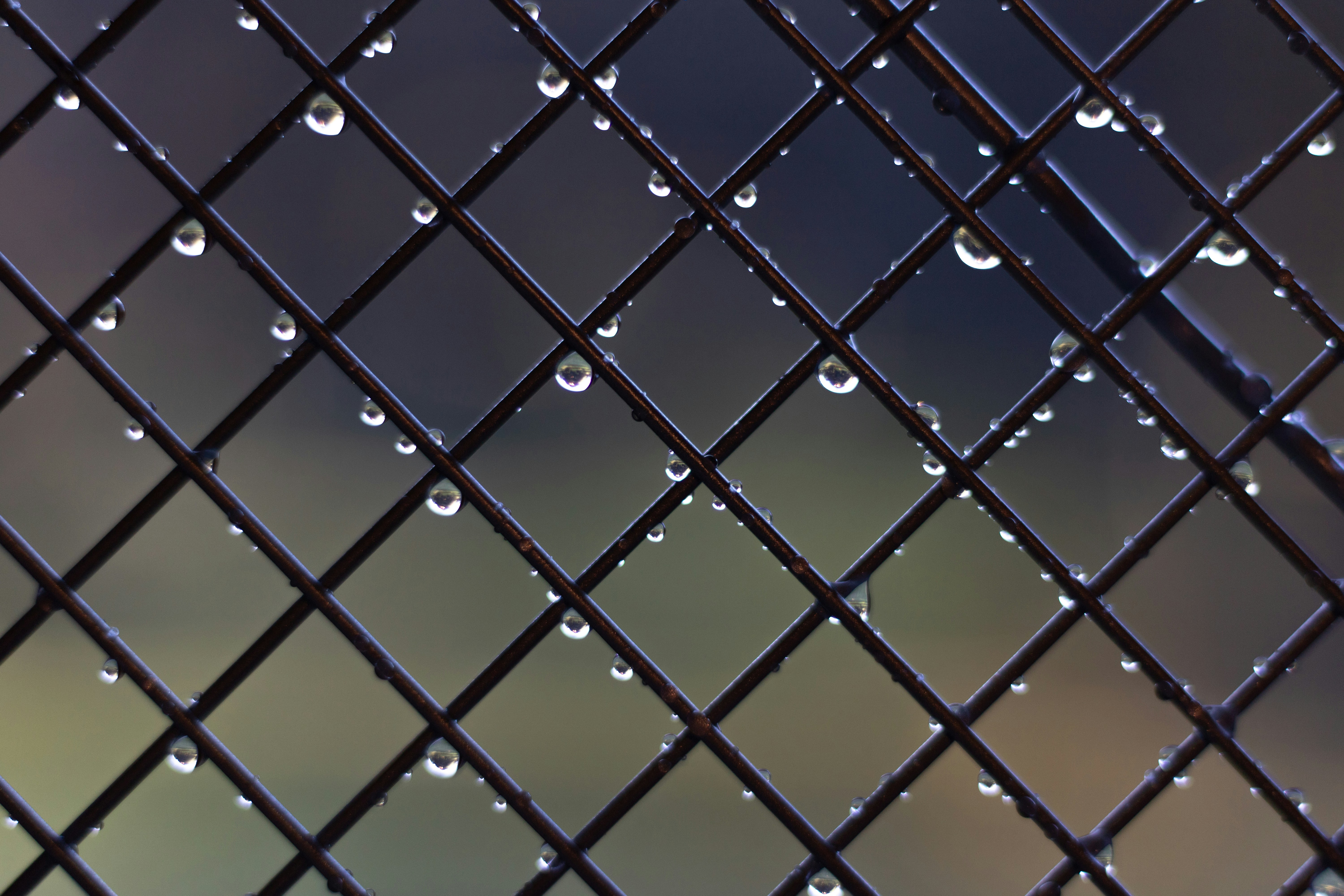 Close-up of a metal chain-link fence with water droplets clinging to the wires, soft gradient background beyond the grid.