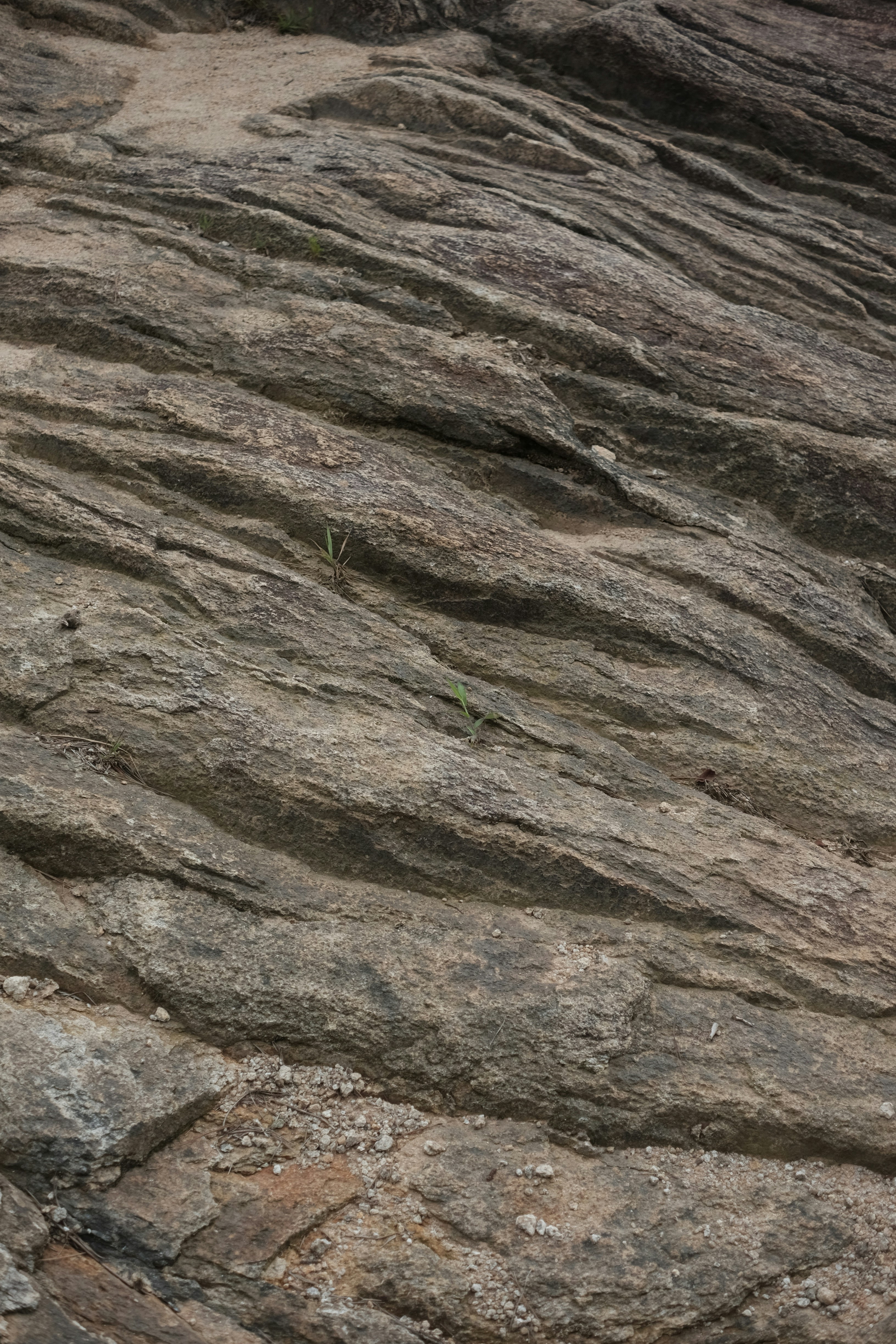Rippled Granite Trails: Strata of Weathered Rock