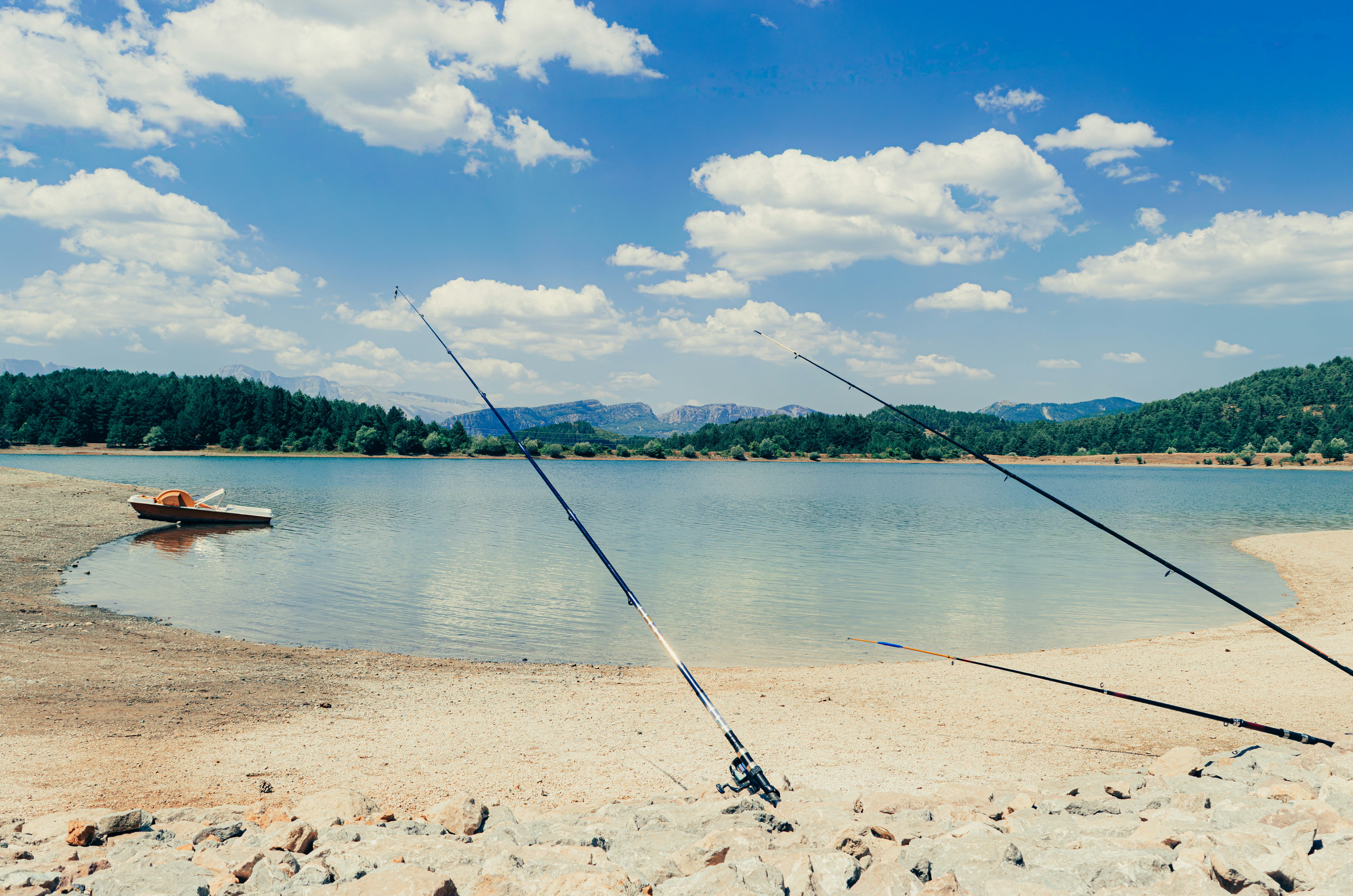 Line of Tranquility: Fishing Rods Reaching into a Lake Scene