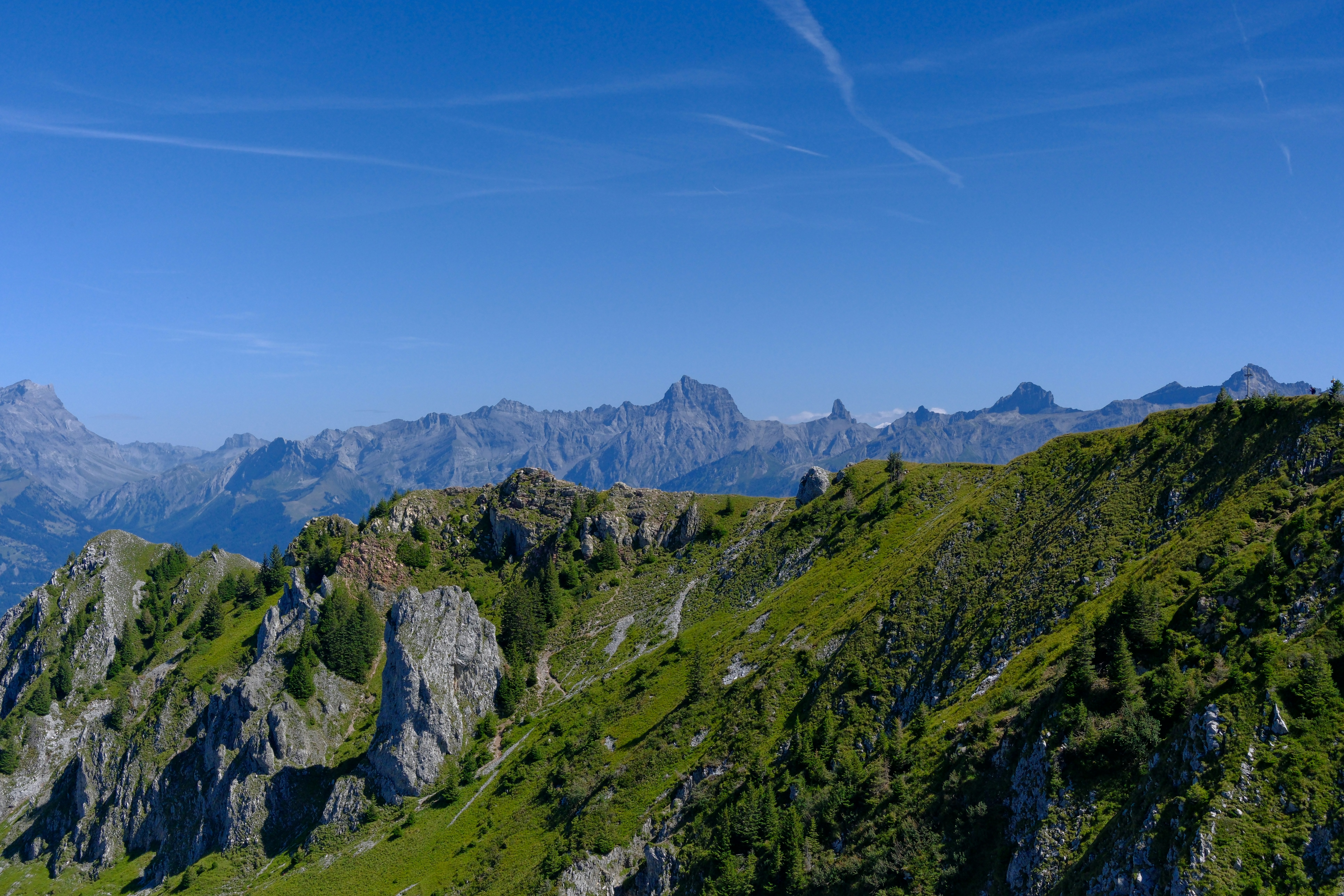 Ridgecrest Horizon: A Panorama of Alpine Verdurous Peaks