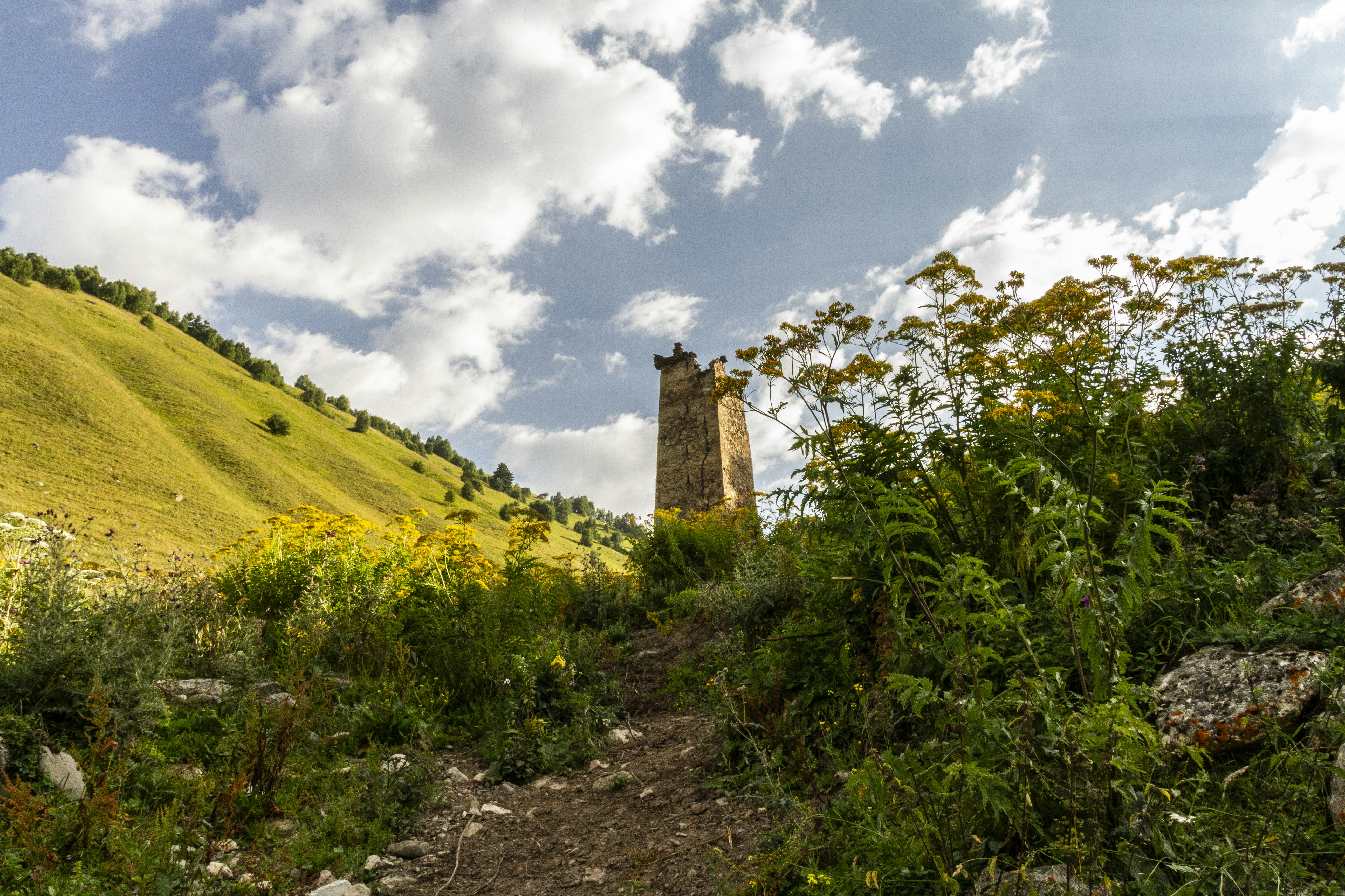 Solitary Stone Tower Amid Rolling Hills