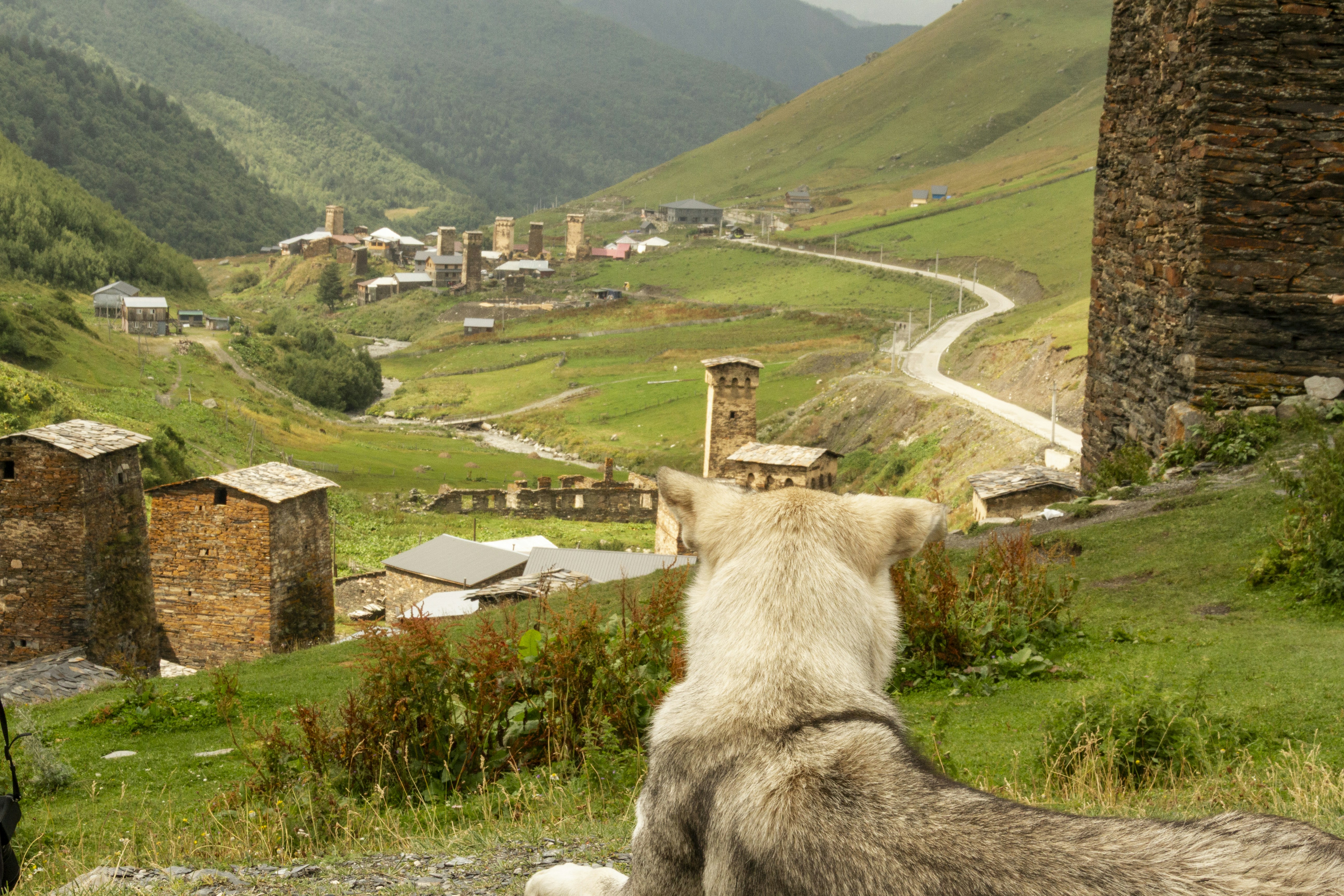 Herder's View: A Loyal Watch Over a Mountain Village
