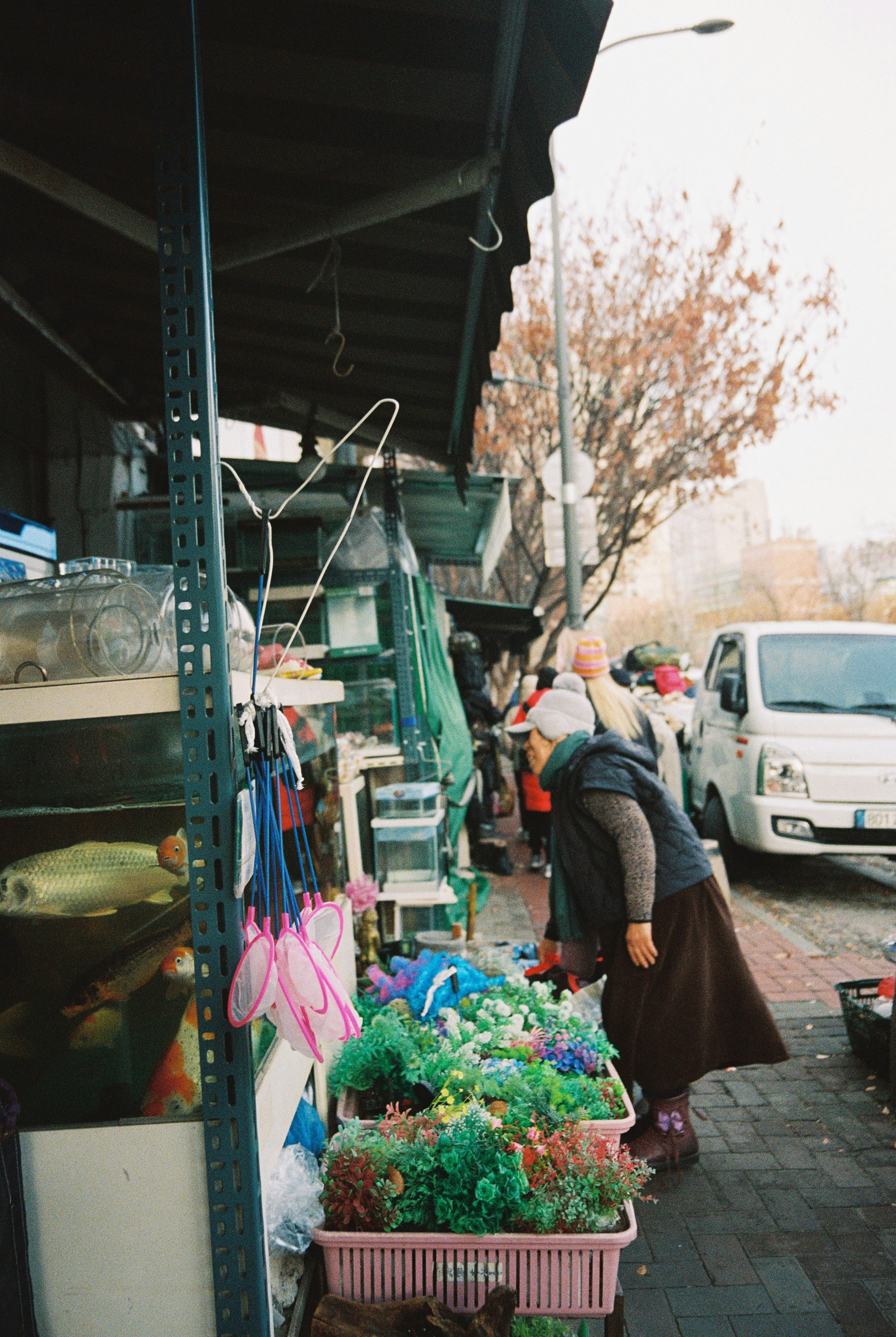Market Bloom: A Quiet Exchange of Colorful Flowers and Toward the Street