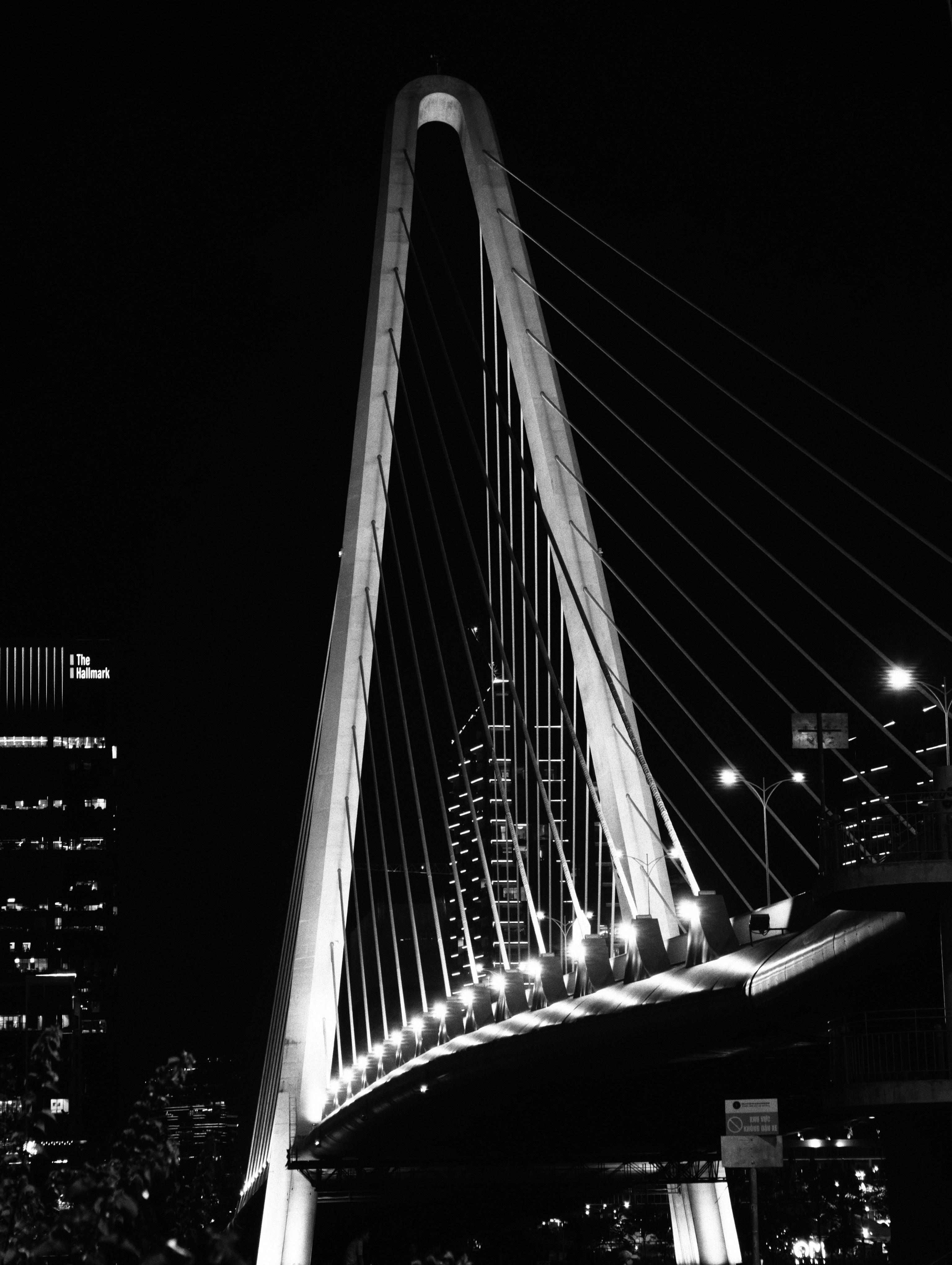 Monolith of Steel: Night-time Cable-Stayed Arch Rises Over the City