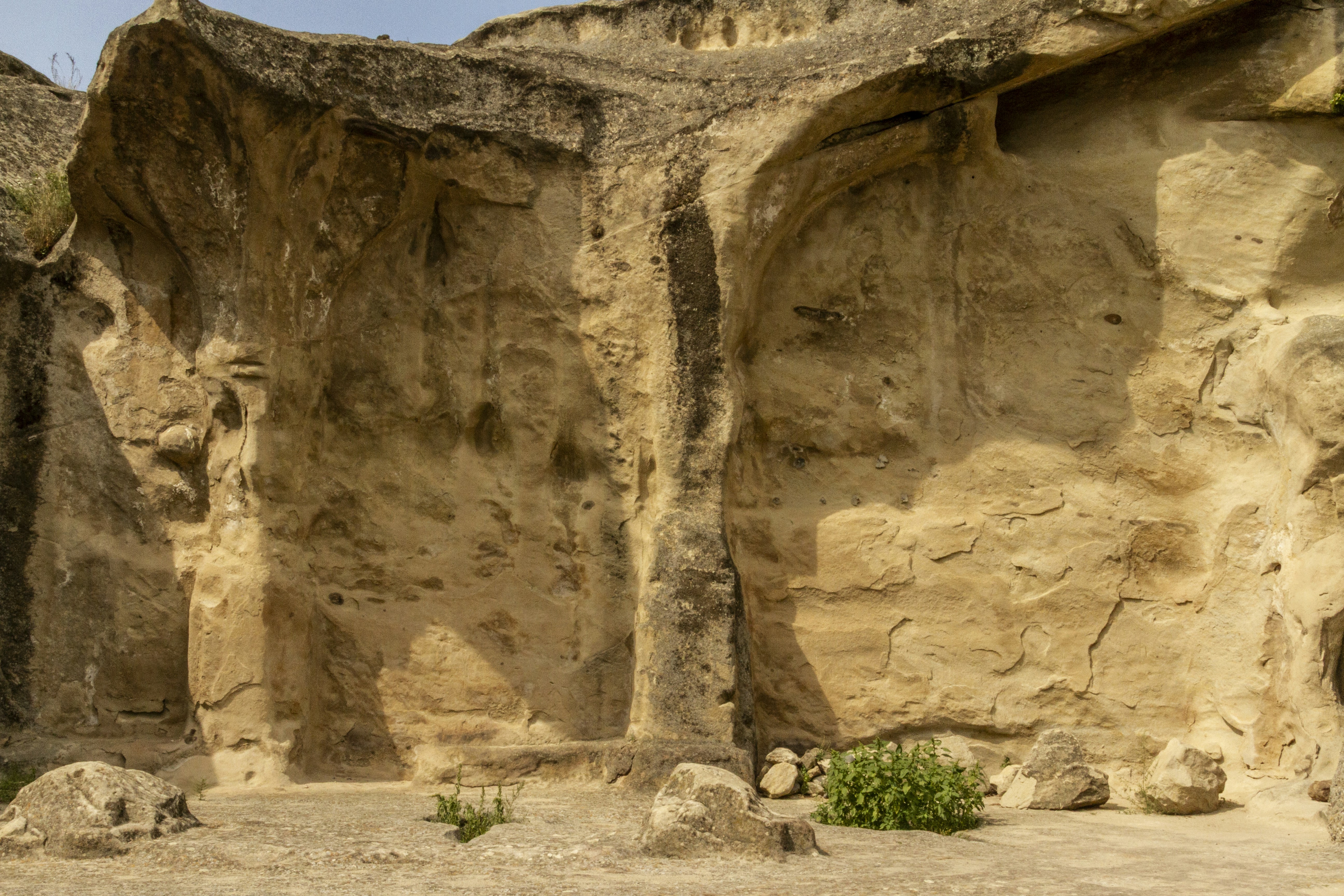 Ancient Erosion: Weathered Cliff Face and Sparse Ground Flora