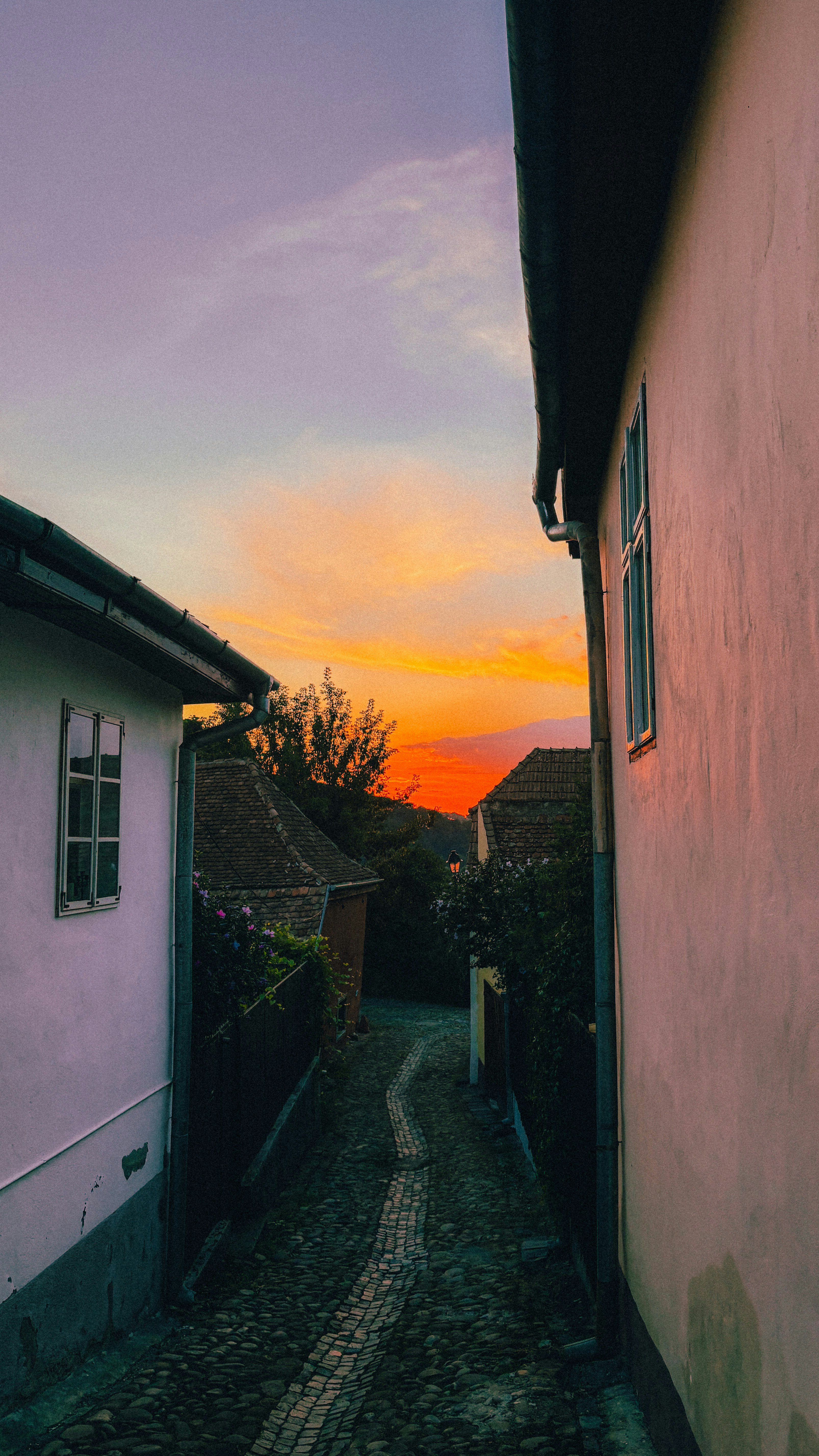 Twilight Alley: Sunlit Rooflines Squeeze Through a Narrow Dutch Courtyard