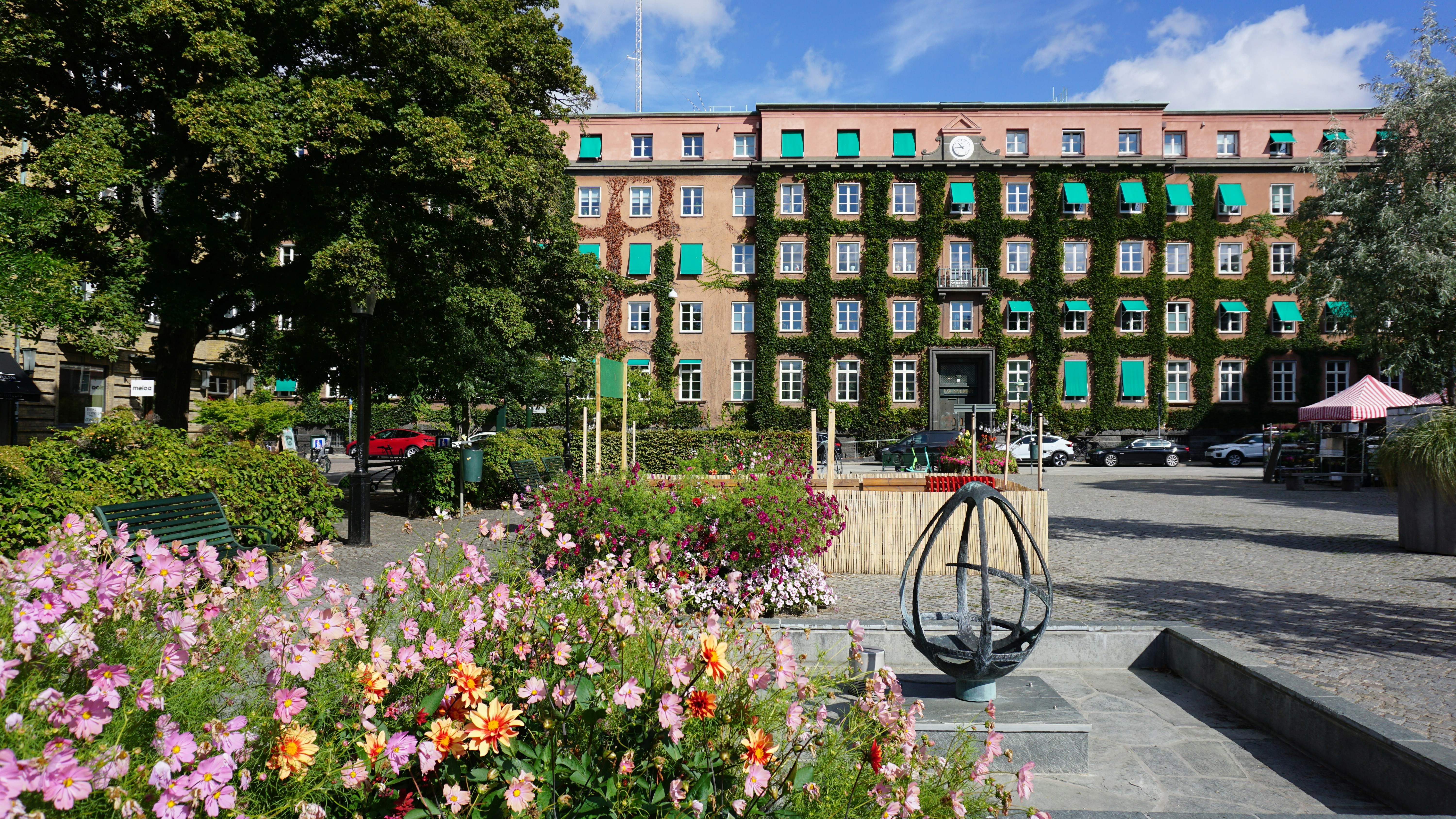 Courtyard Bloom: A Sunlit Urban Garden Framed by Ivy-Clad Facades