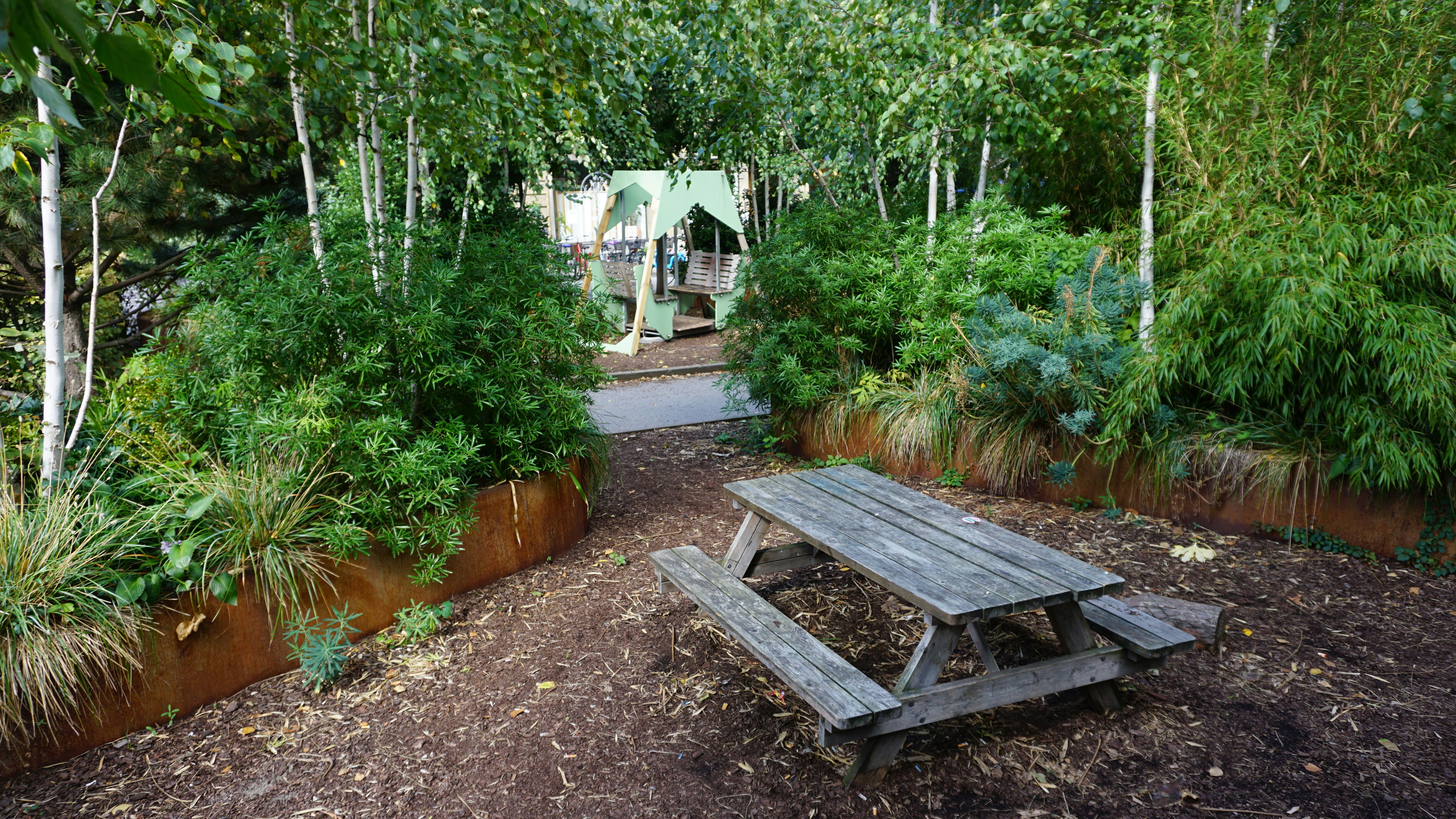 Shaded Garden Pathway to a Quiet Picnic Clearing