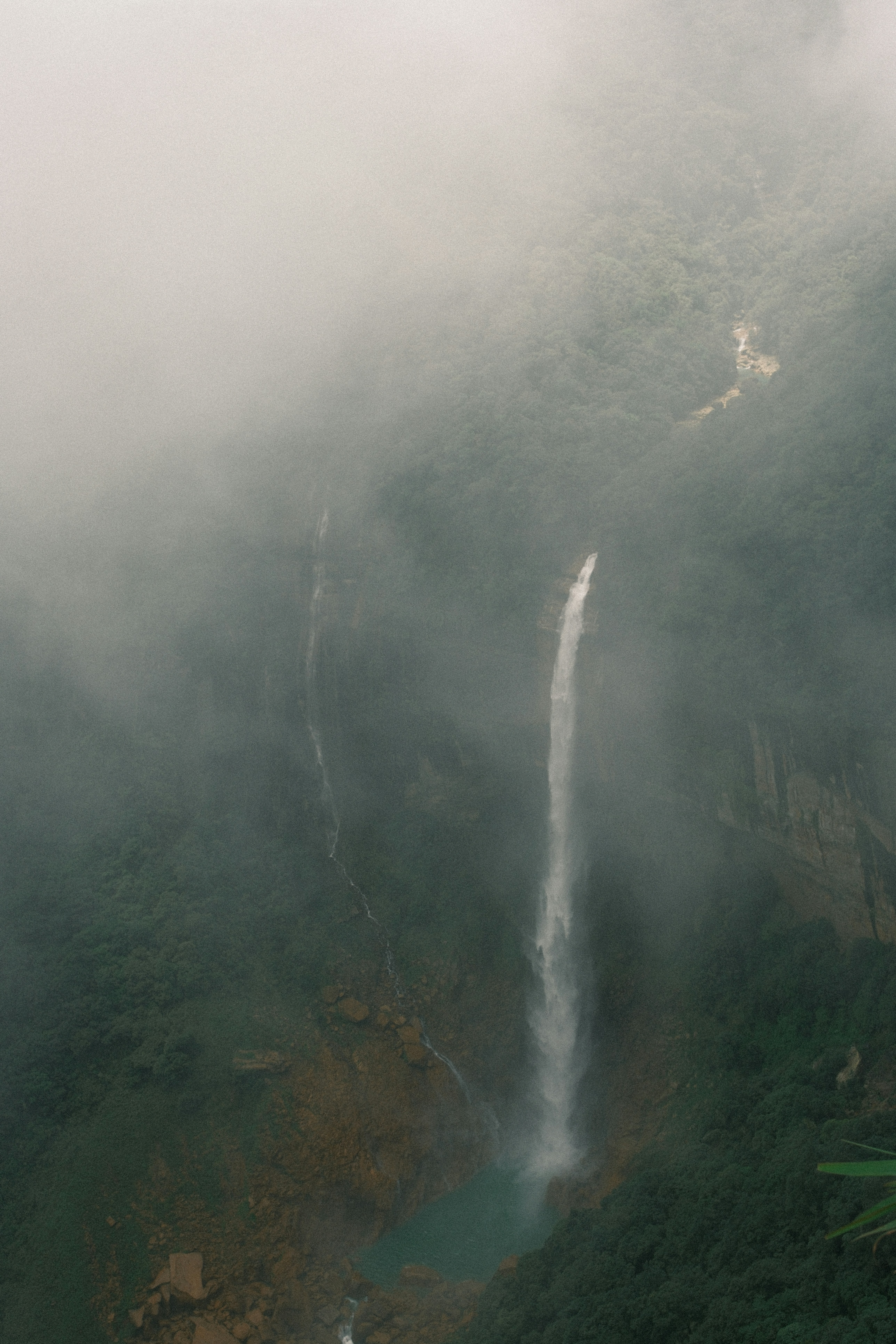 Misty Veil: A Narrow Cascade Emerges Through Clouded Pines