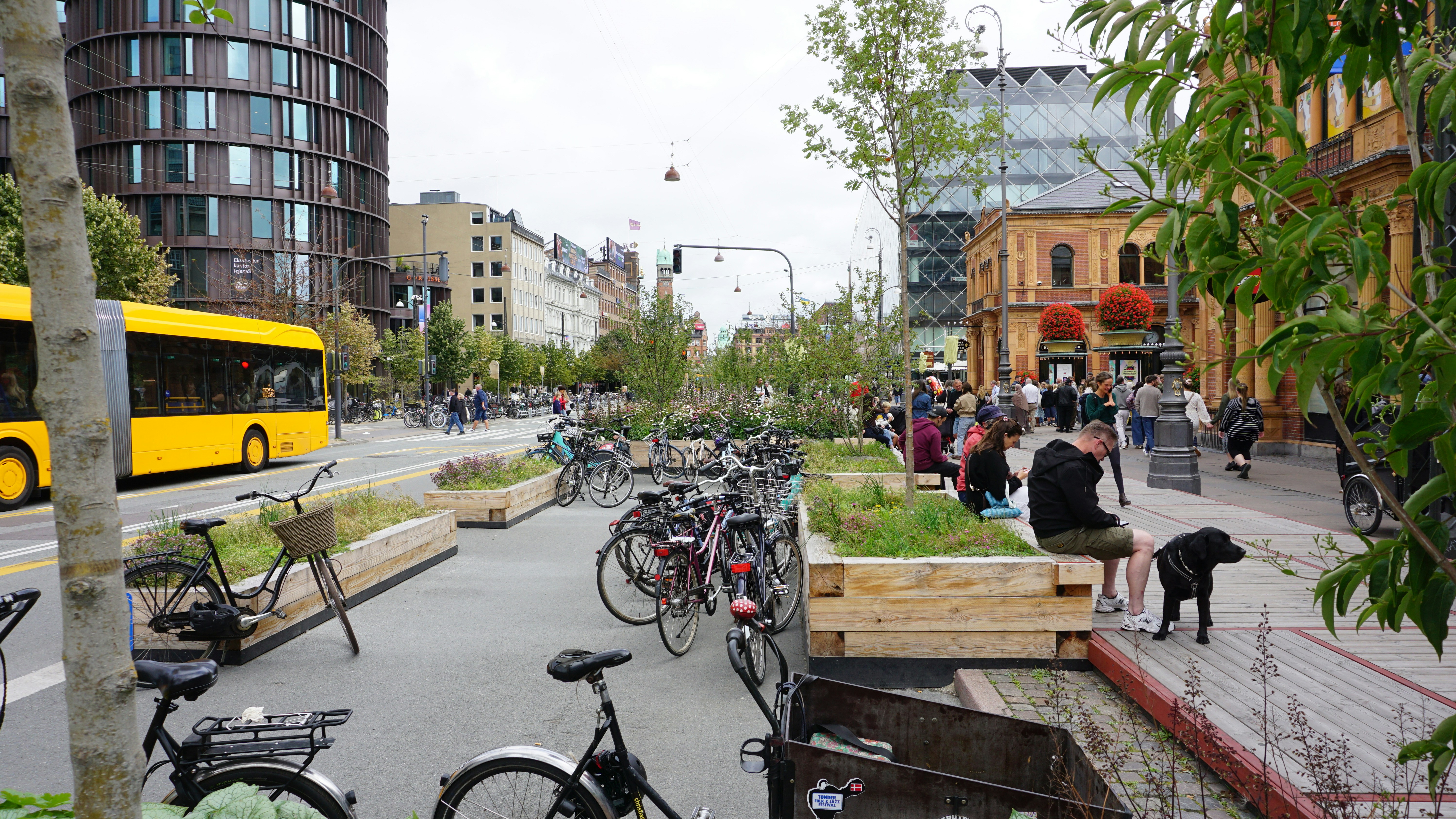 City Pulse: A Bike Lane Buzz with Urban Activity