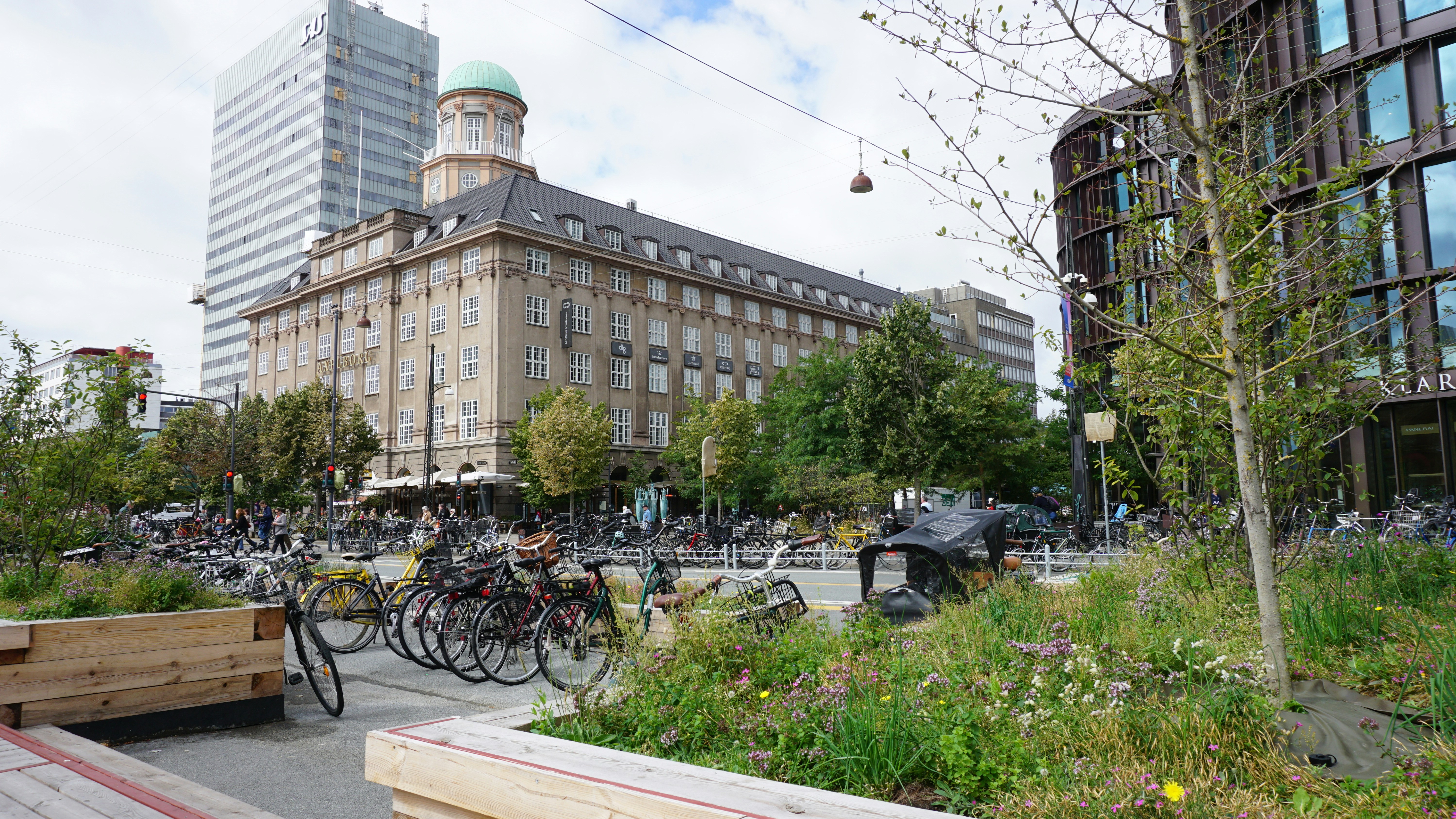 Urban Orchard: Bicycles and Blossoms in the City Square