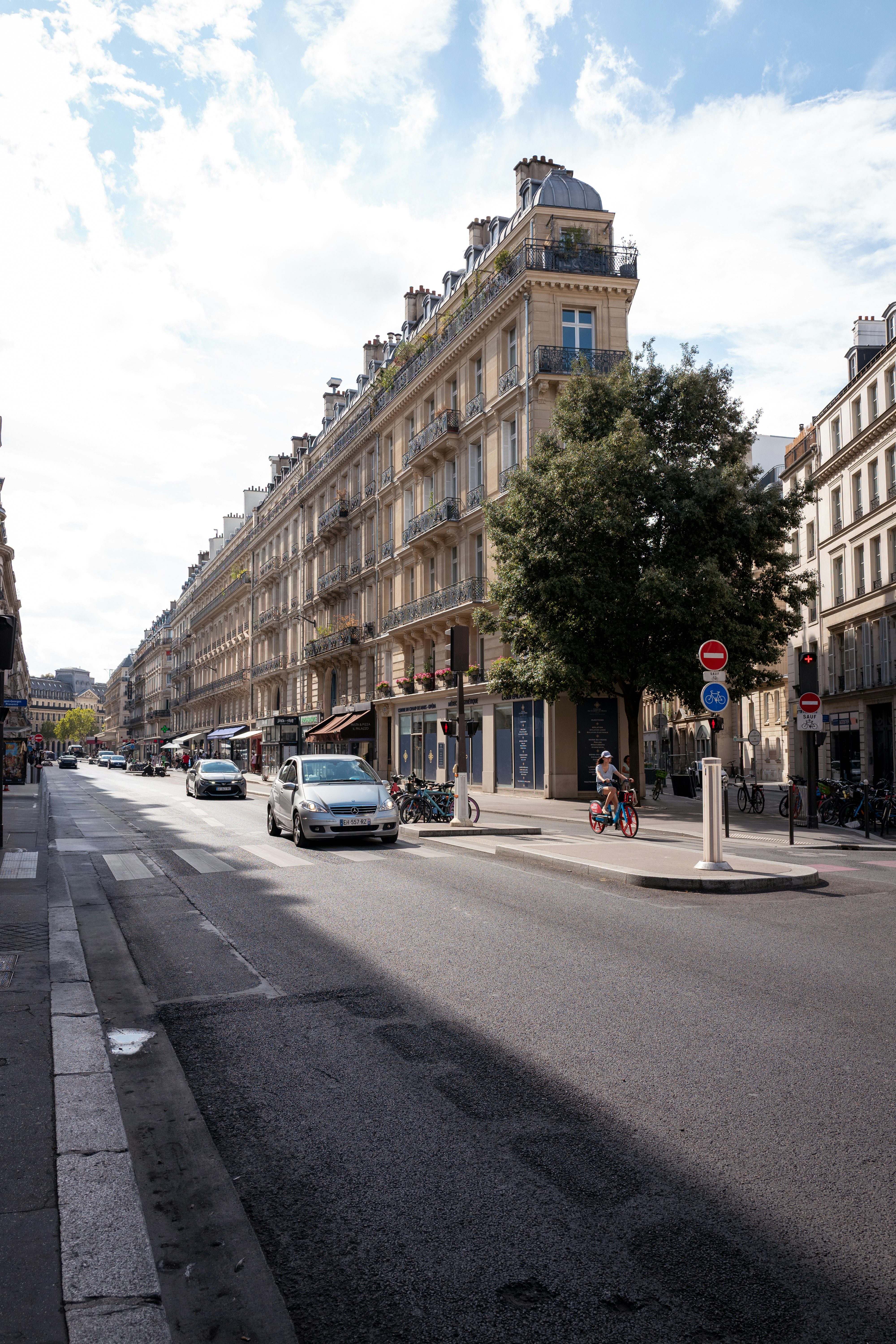 Parisian Street Symphony Beyond the Tree
