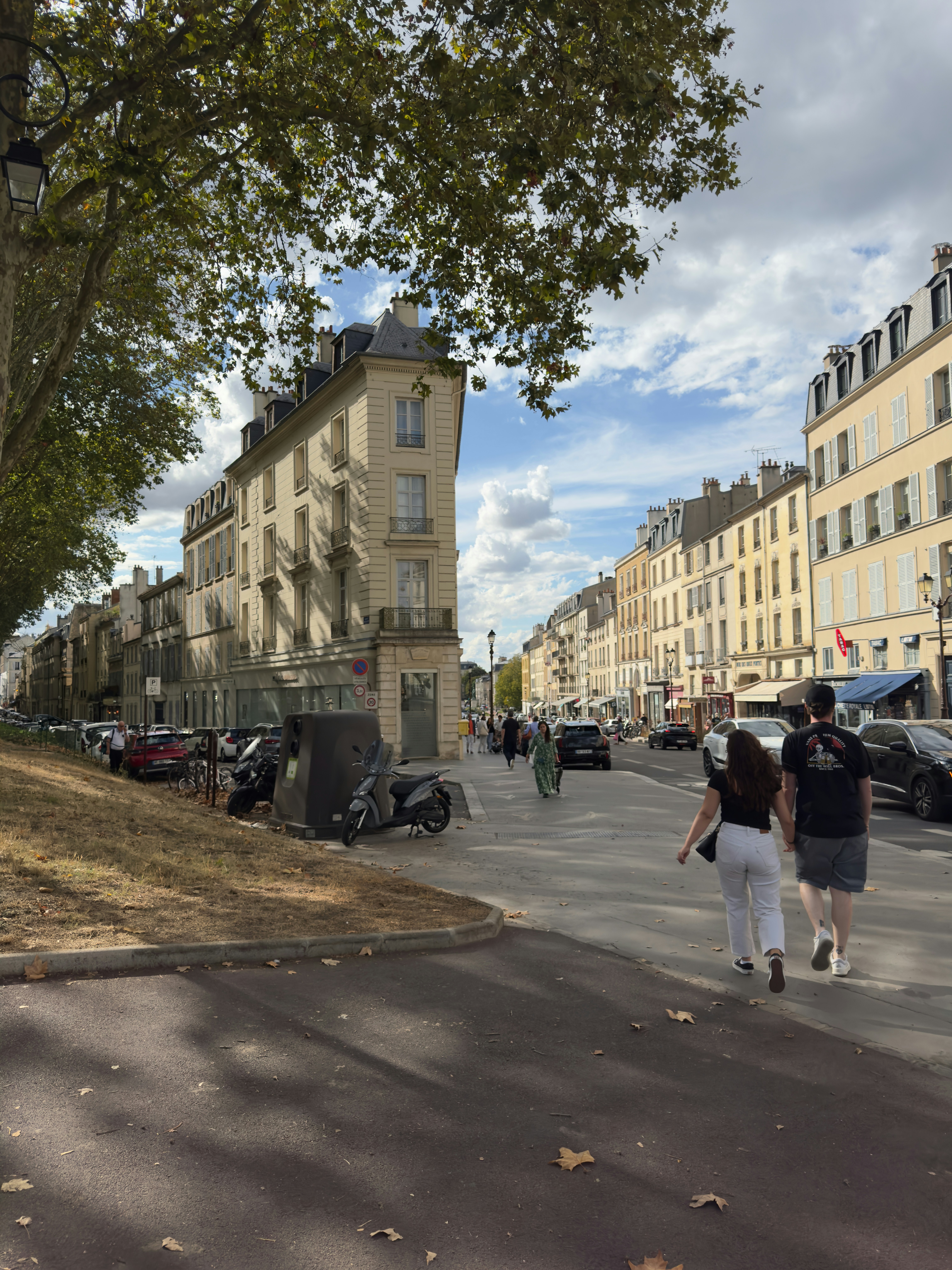 City Boulevard in Soft Light: Pedestrians Tap the Crossing of Autumn