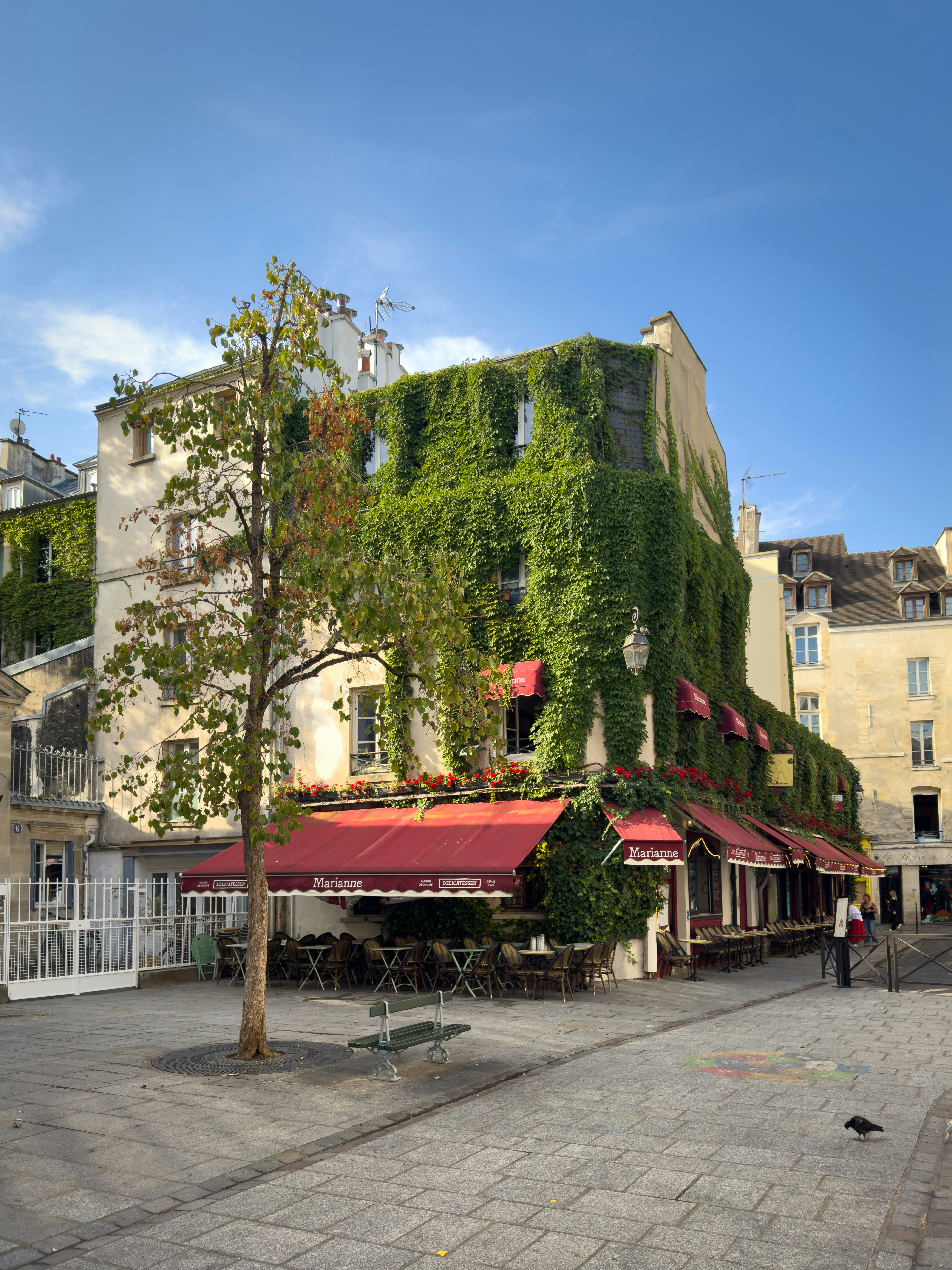 Café Vertigineux: Ivy-Clad Corner Café in Sunlit Square