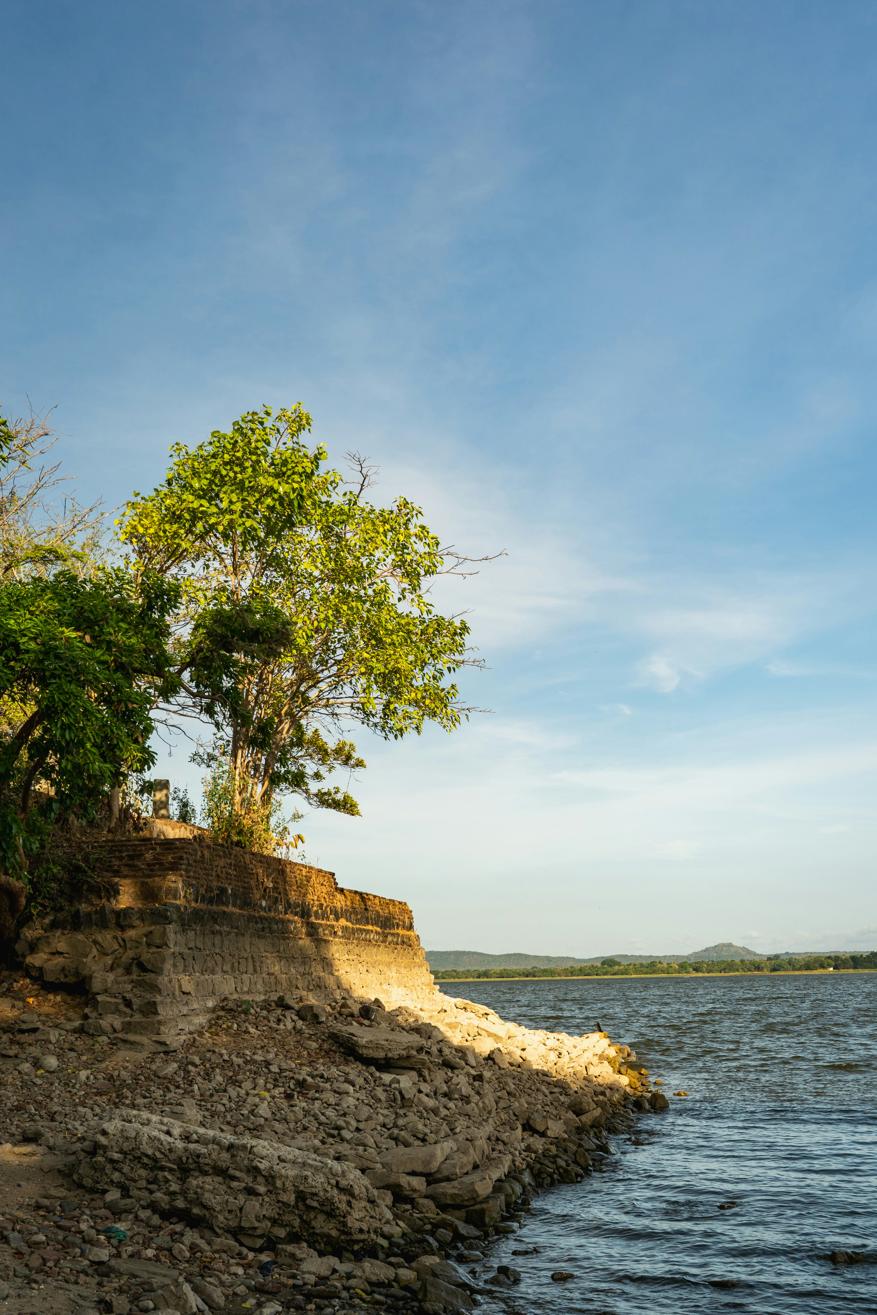 Shoreline Sentinel: Tree-Lined Promontory by the Quiet Waters