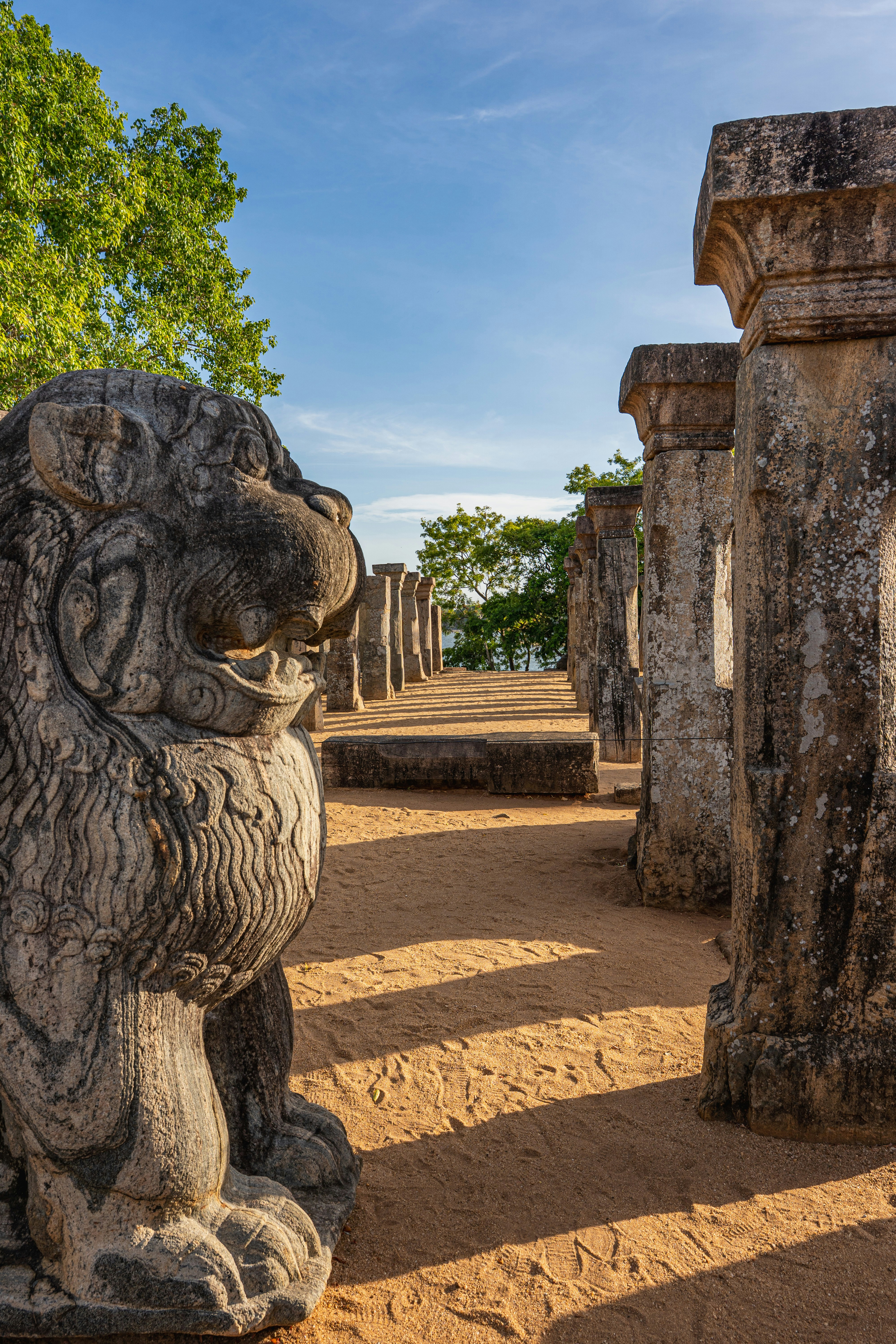 Stone Guardian at Sunlit Colonnade