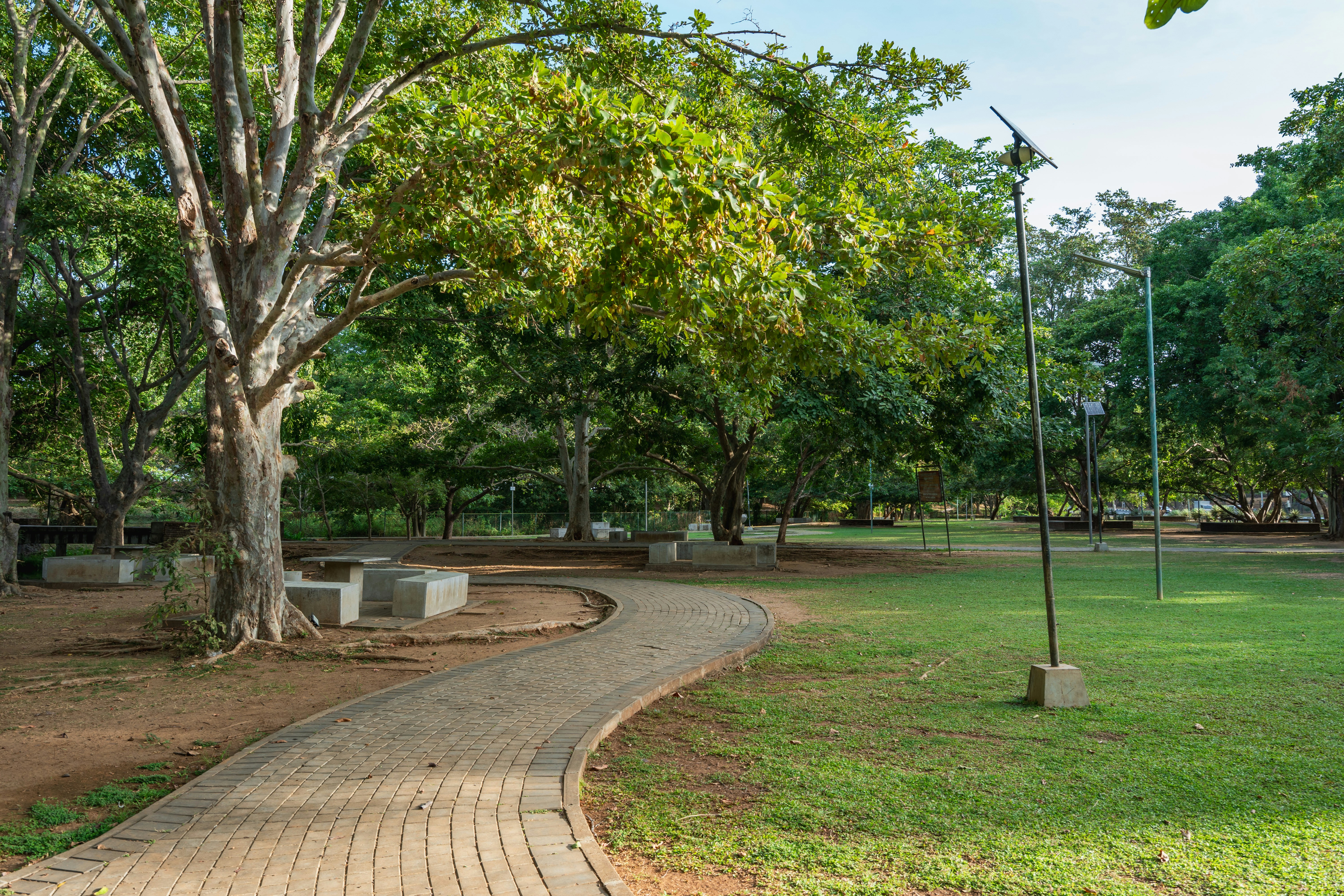 Winding Brick Path Through a Quiet City Park